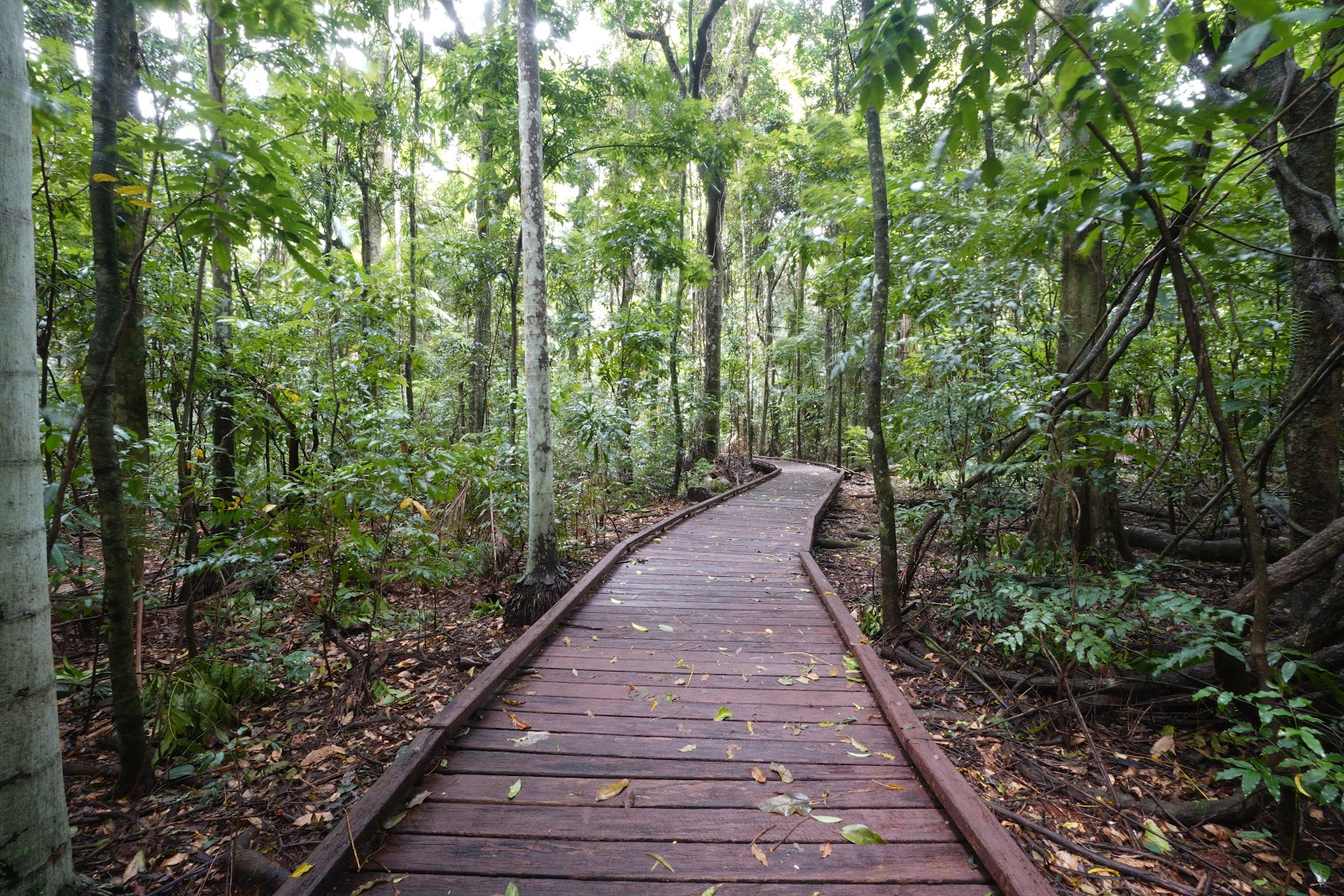 Victoria Park Nature Reserve Alstonville (2026) – Best of TikTok ...