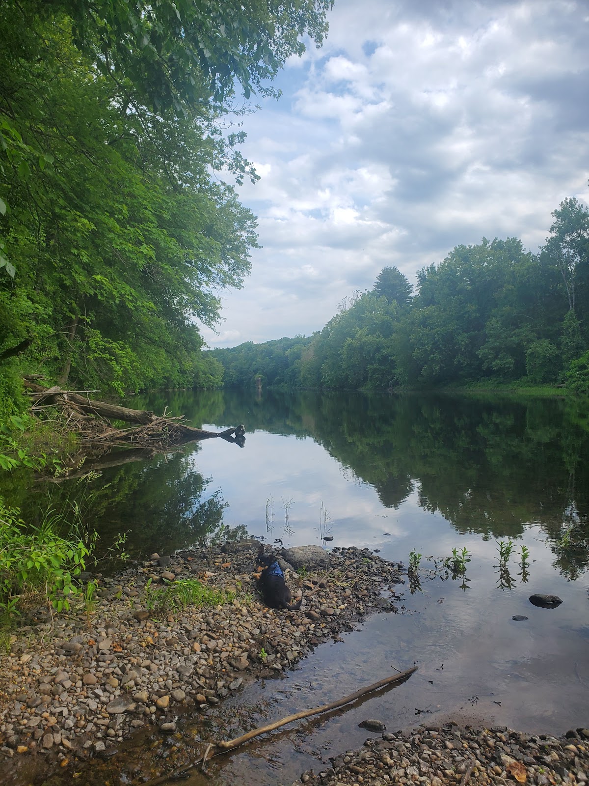 Mittineague Park West Springfield (2026) – Best of TikTok, Instagram ...
