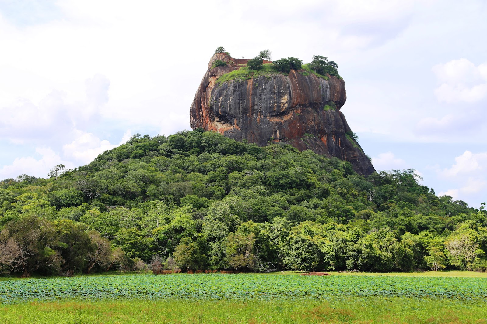 Sigiriya Wewa (2026) – Best of TikTok, Instagram & Reddit Travel Guide