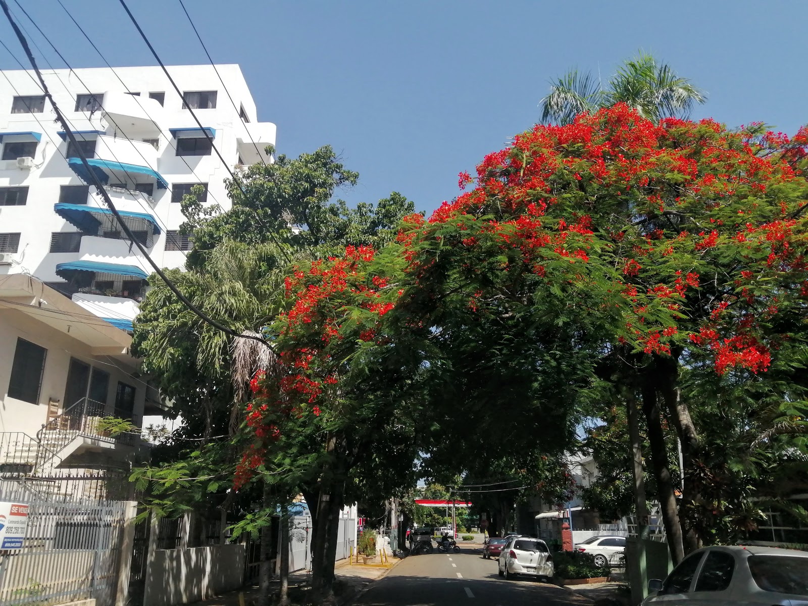 Gazcue Santo Domingo (2026) – Best of TikTok, Instagram & Reddit Travel ...