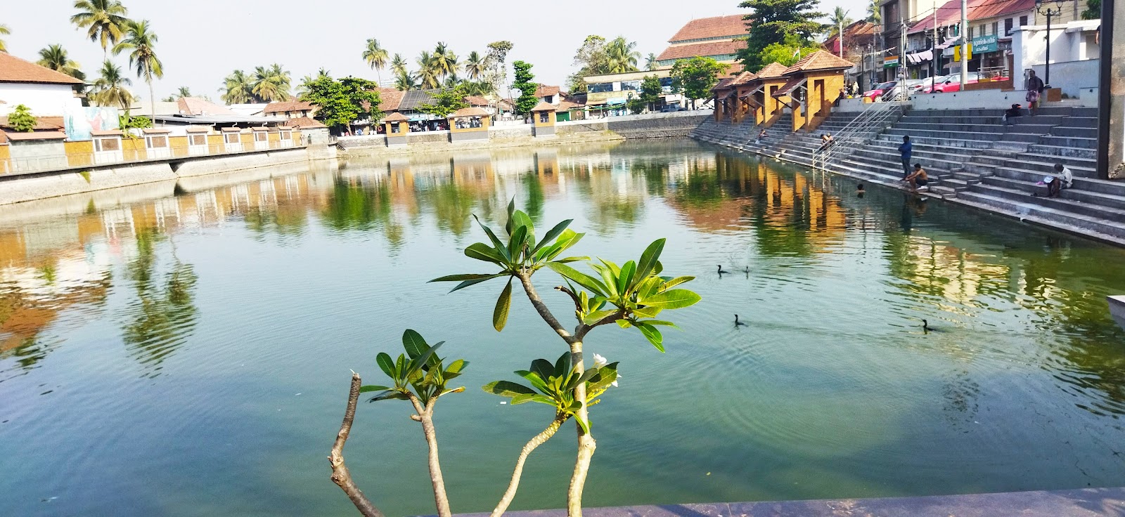 Kuttichira Kozhikode (2026) – Best of TikTok, Instagram & Reddit Travel ...