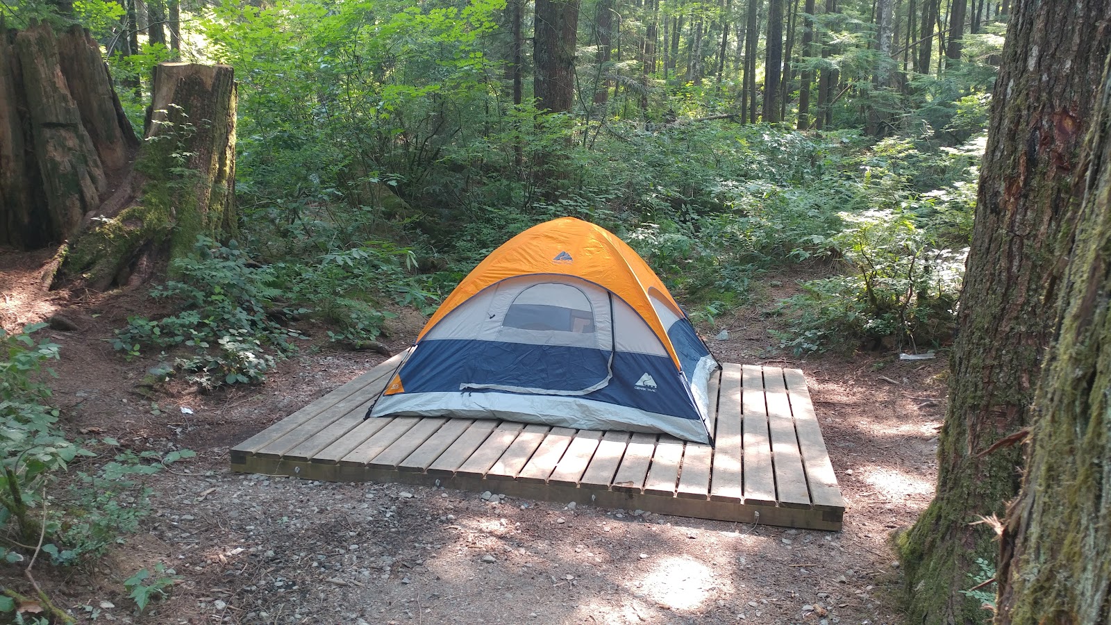 Sayres Lake Recreation Site (2026) – Best of TikTok, Instagram & Reddit ...