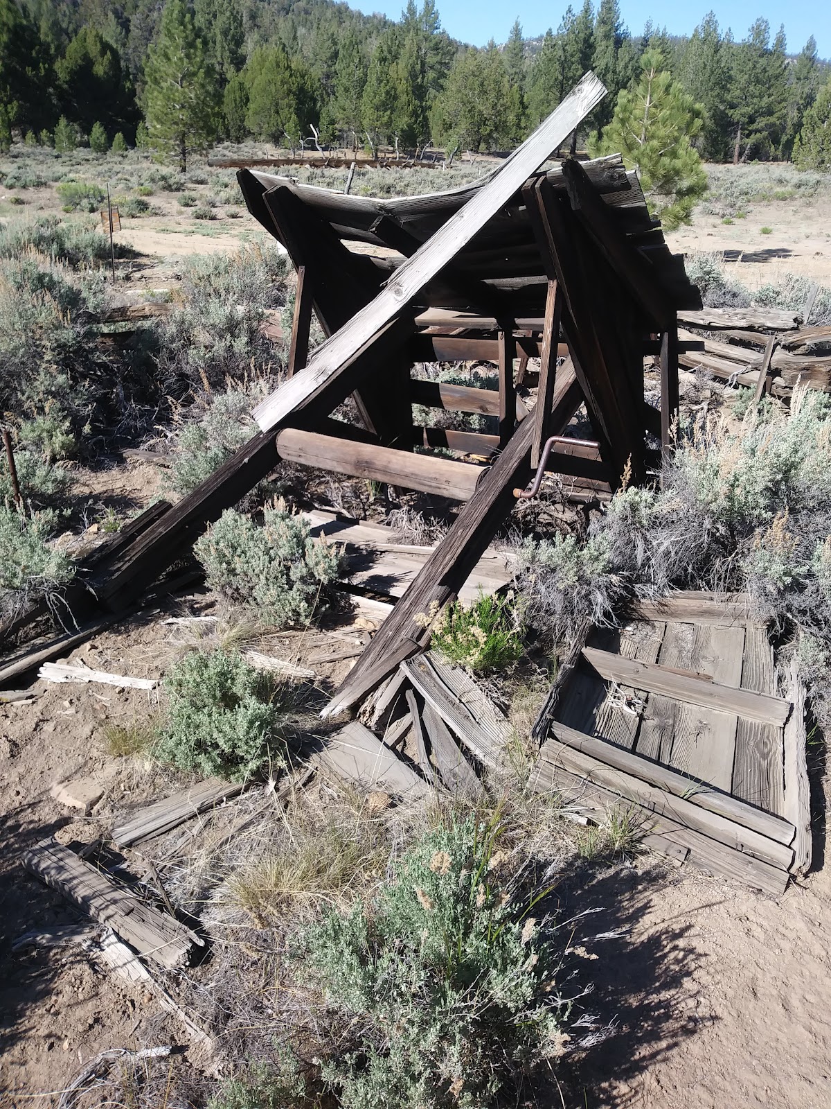 Holcomb Valley California (2026) – Best of TikTok, Instagram & Reddit ...