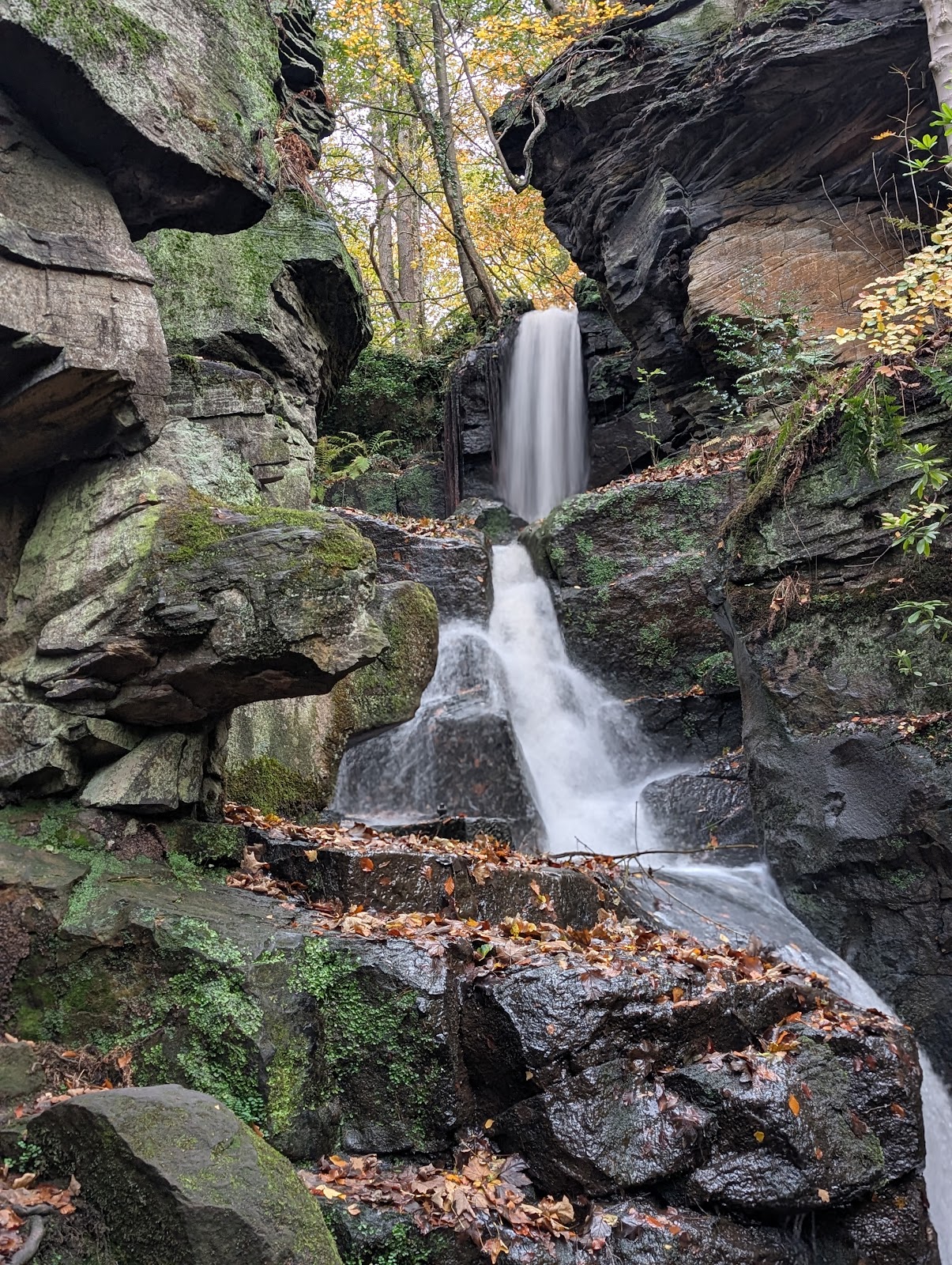 Lumsdale Valley Matlock (2026) – Best of TikTok, Instagram & Reddit ...