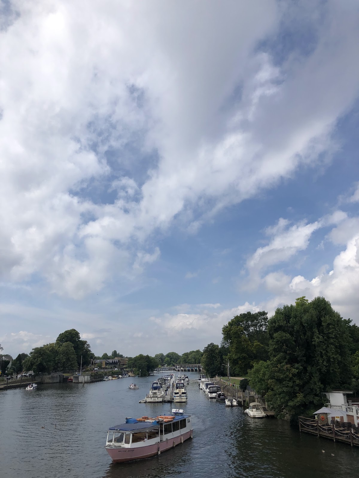 River Mole Path Esher (2026) – Best of TikTok, Instagram & Reddit ...