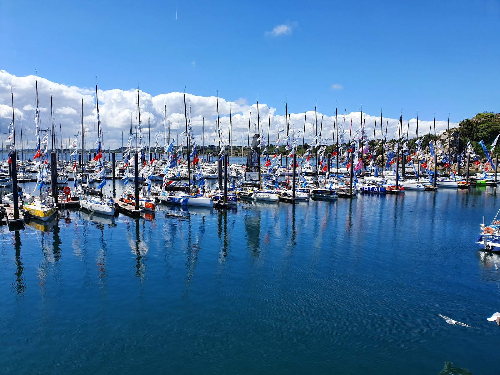Roscoff Old Port (2026) – Best of TikTok, Instagram & Reddit Travel Guide