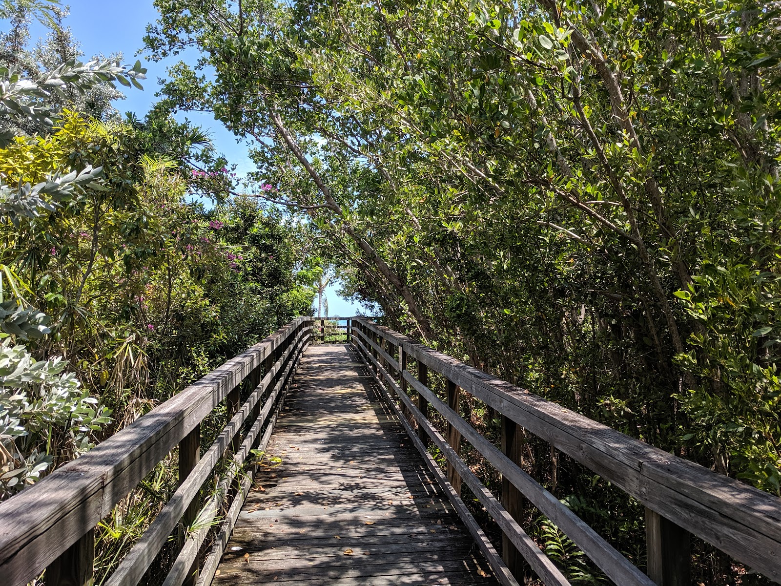 Key West Nature Preserve (2026) – Best of TikTok, Instagram & Reddit ...