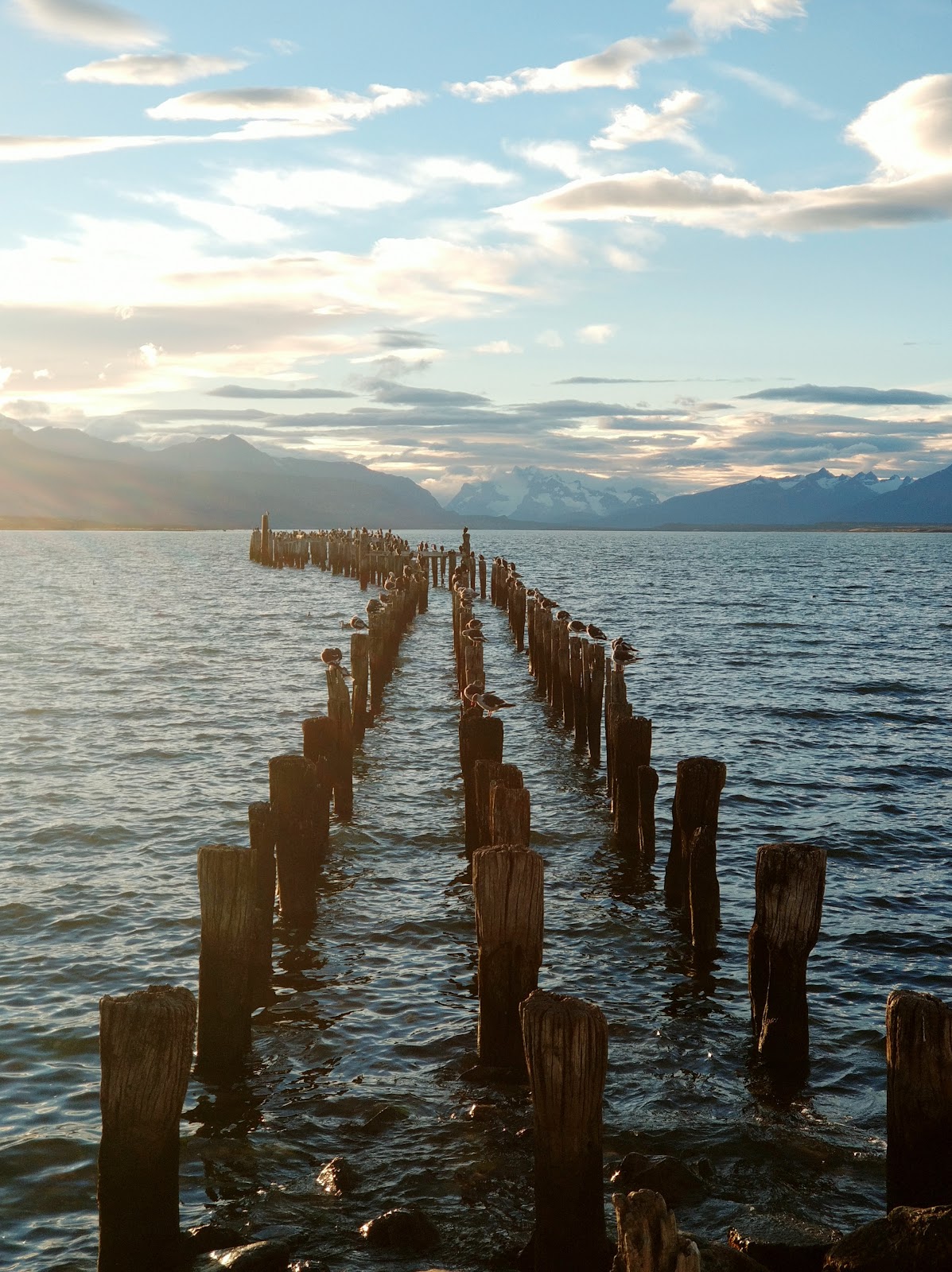 Old Pier Muelle Viejo (2025) – Best of TikTok, Instagram & Reddit ...