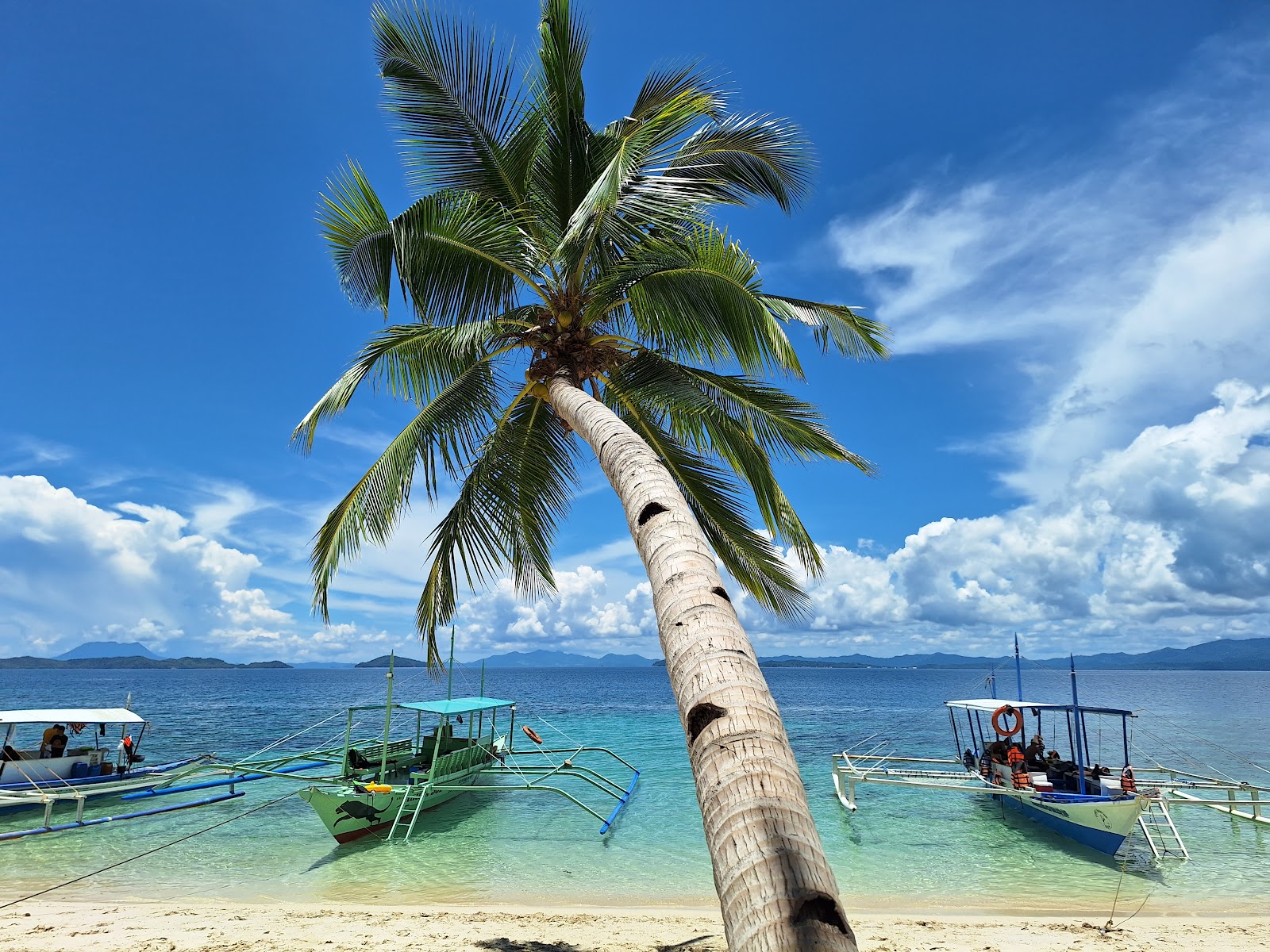Maxima Island (2026) – Best of TikTok, Instagram & Reddit Travel Guide