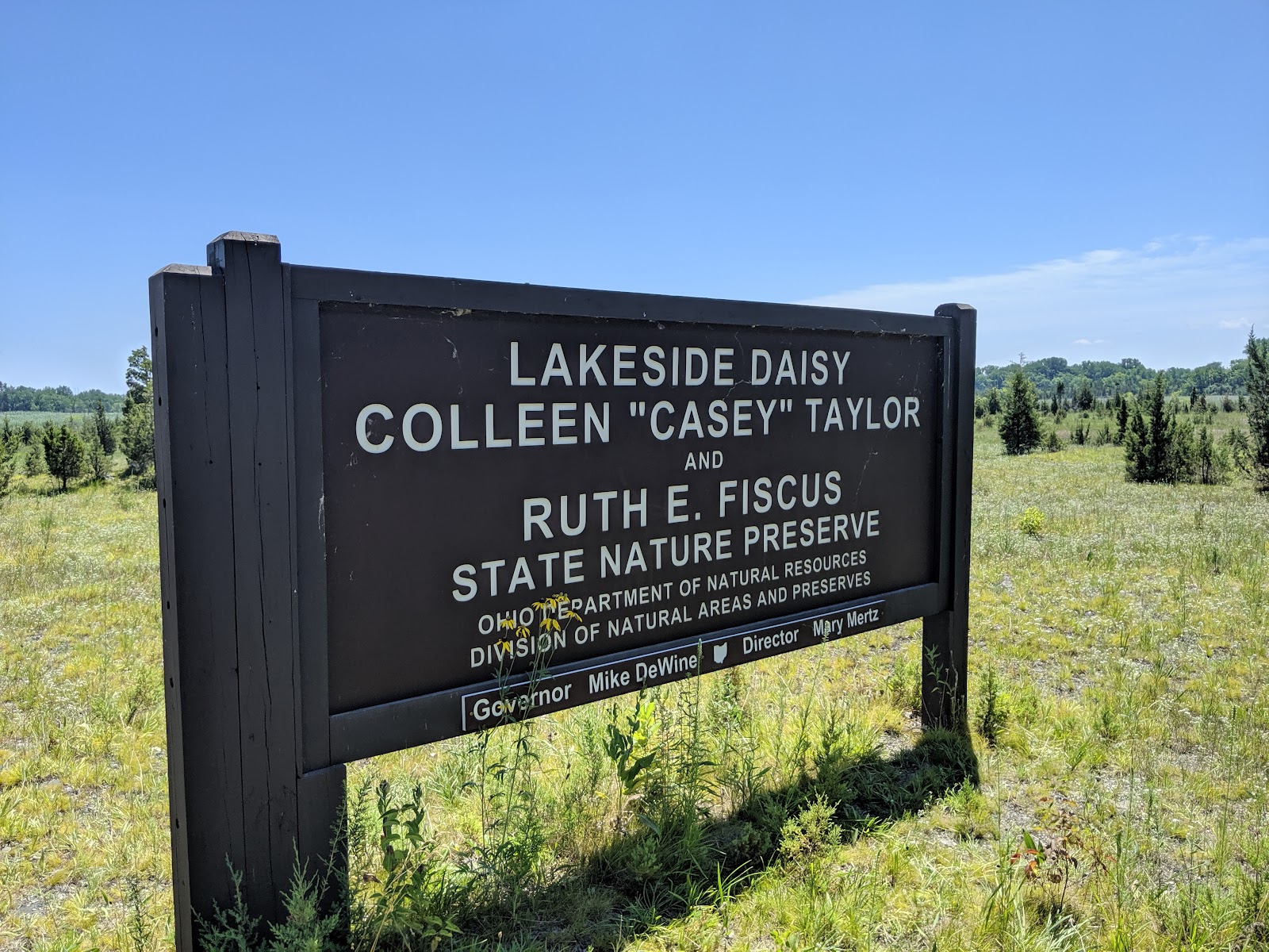 Lakeside Daisy State Nature Preserve (2026) – Best of TikTok, Instagram ...