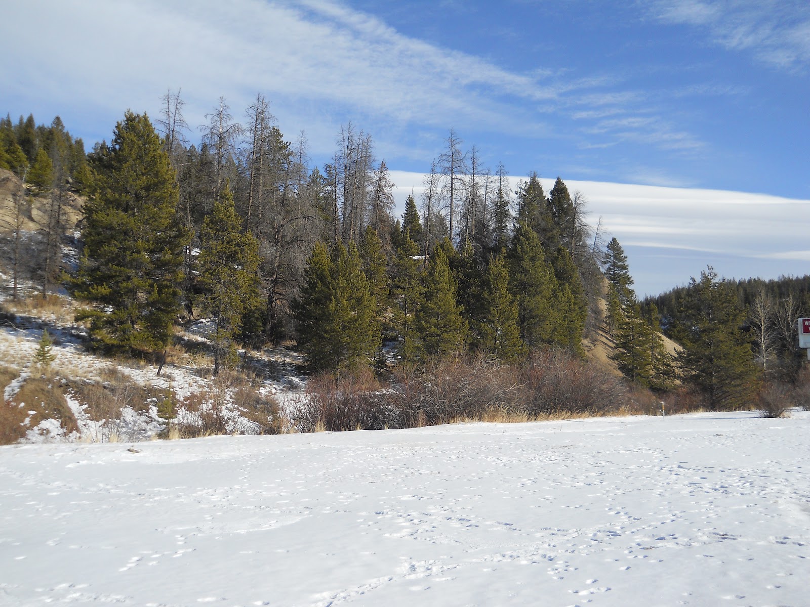 Homestake Pass CDT Trailhead (2026) – Best of TikTok, Instagram ...
