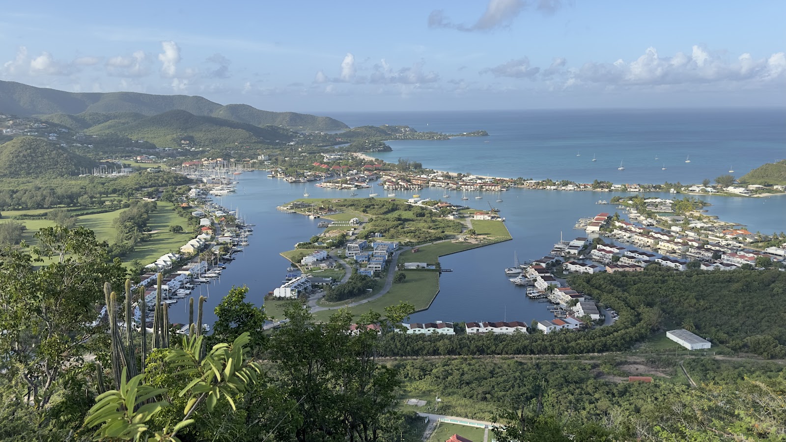 Jolly Harbour Nature Trail Antigua (2026) – Best of TikTok, Instagram ...