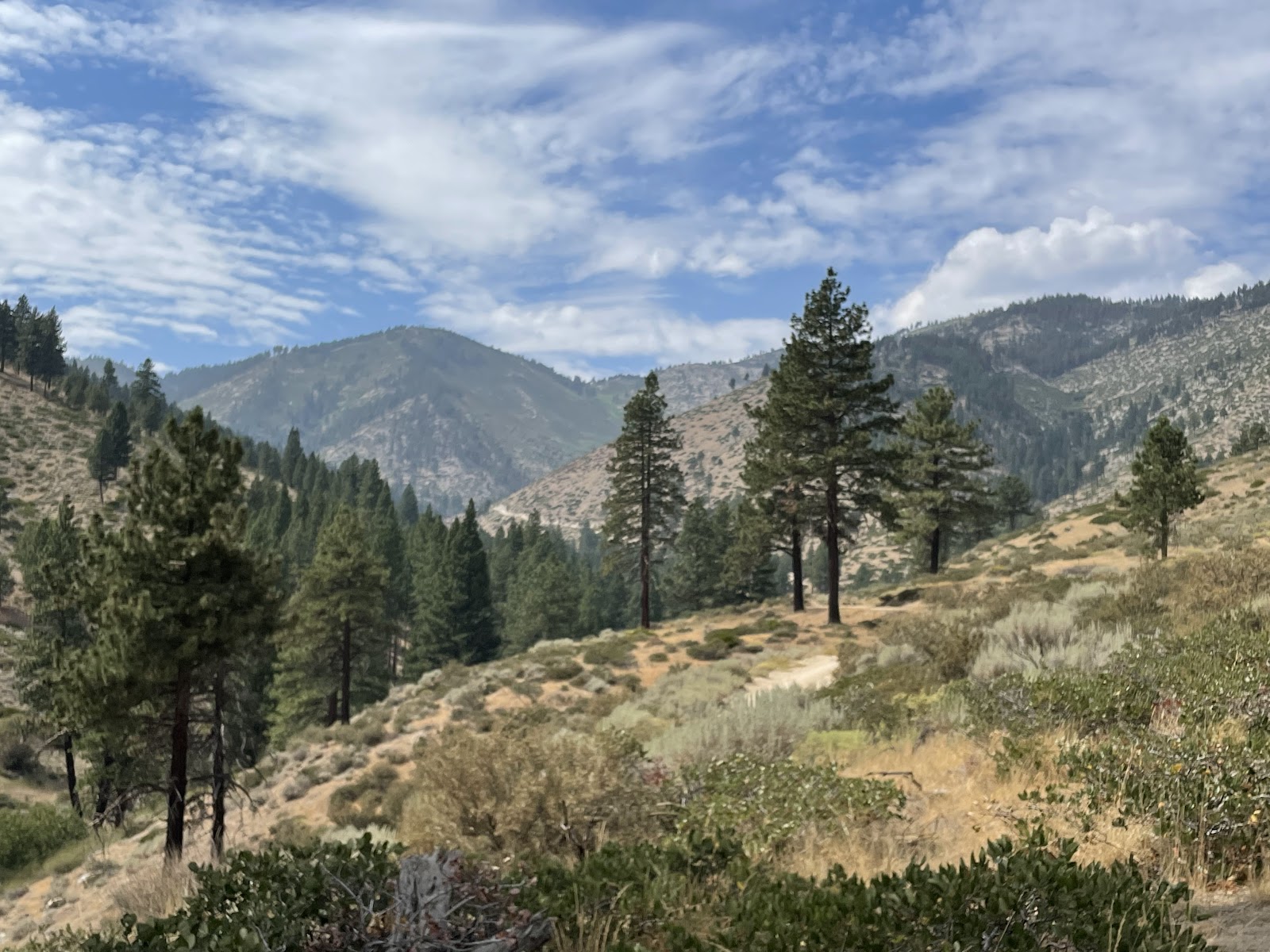 Ash to Kings Trail (2026) – Best of TikTok, Instagram & Reddit Travel Guide