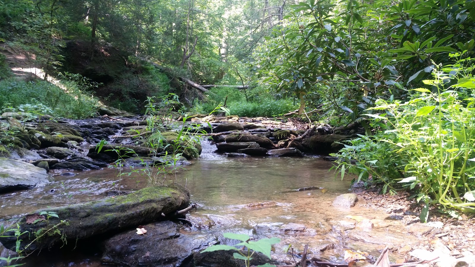 Kellys Run Nature Preserve (2026) – Best of TikTok, Instagram & Reddit ...