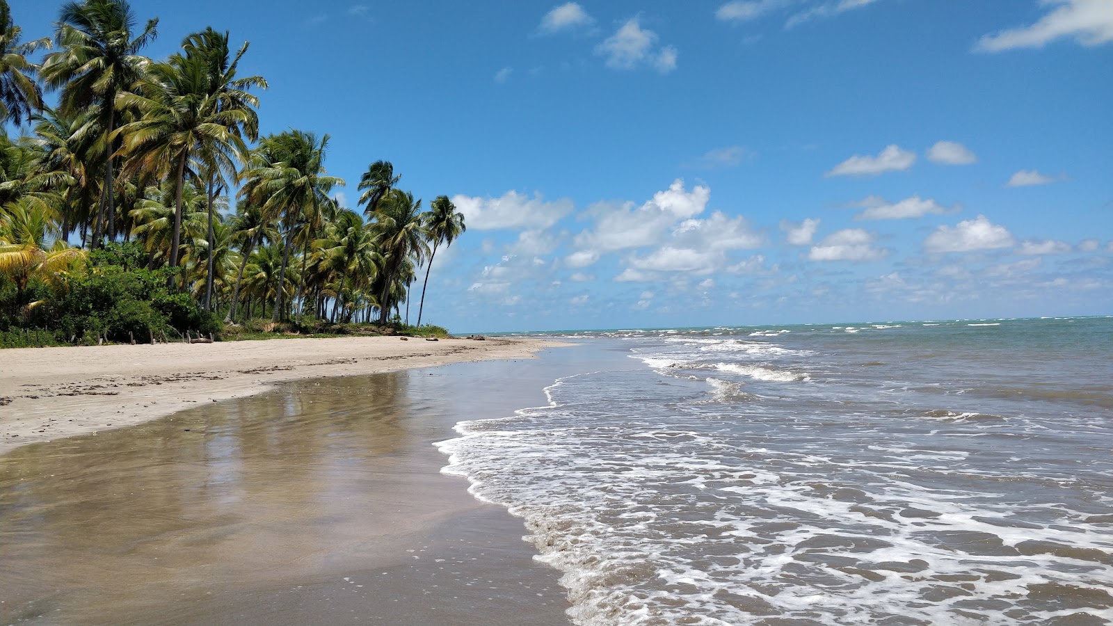 Boqueirão Beach Japaratinga (2025) – Best of TikTok, Instagram & Reddit ...