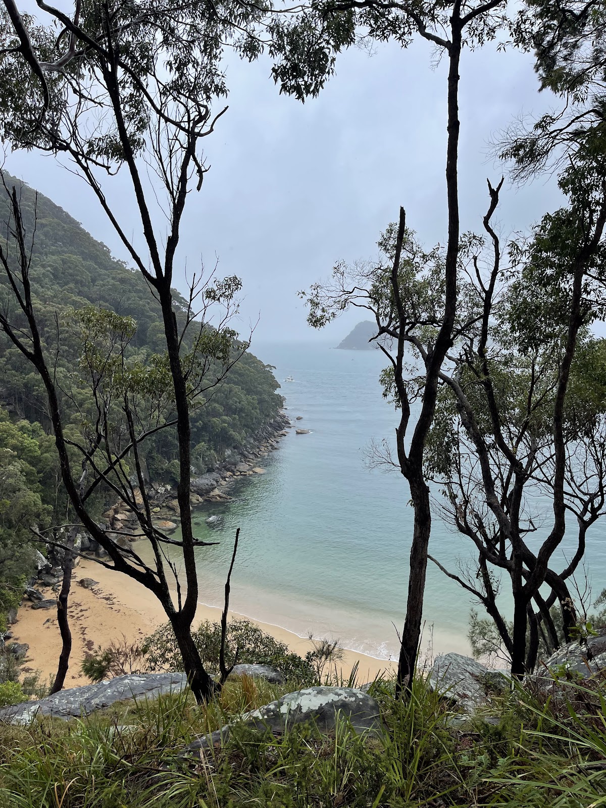 Aboriginal Heritage Walk Ku-ring-gai (2026) – Best of TikTok, Instagram ...