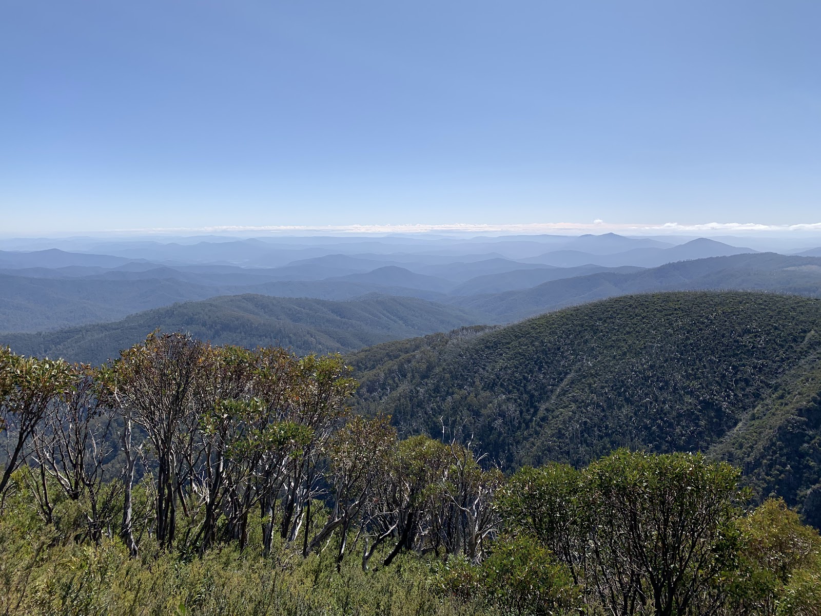 Mount Bogong (2026) – Best of TikTok, Instagram & Reddit Travel Guide