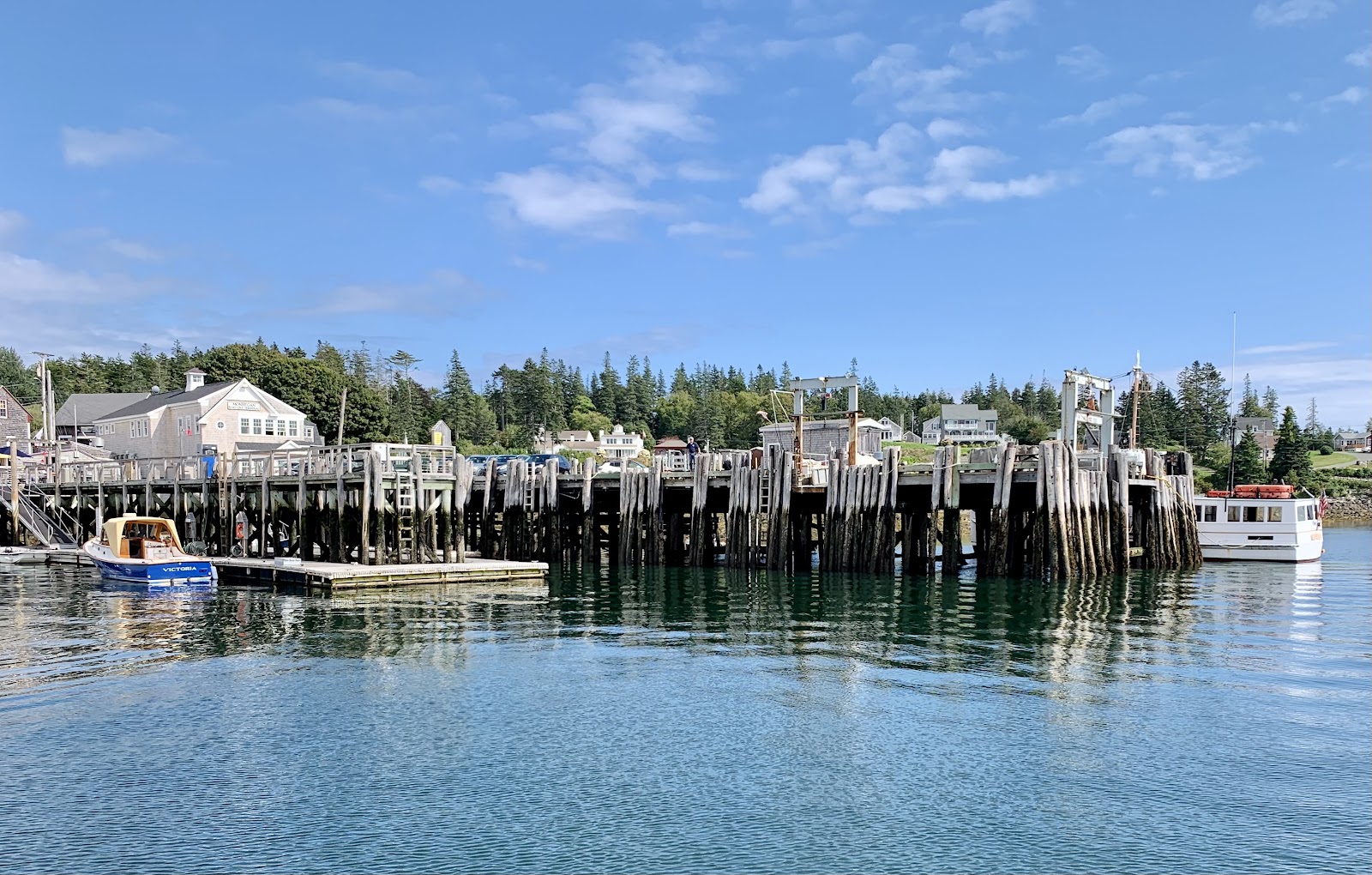 Tenants Harbor Maine (2026) – Best of TikTok, Instagram & Reddit Travel ...