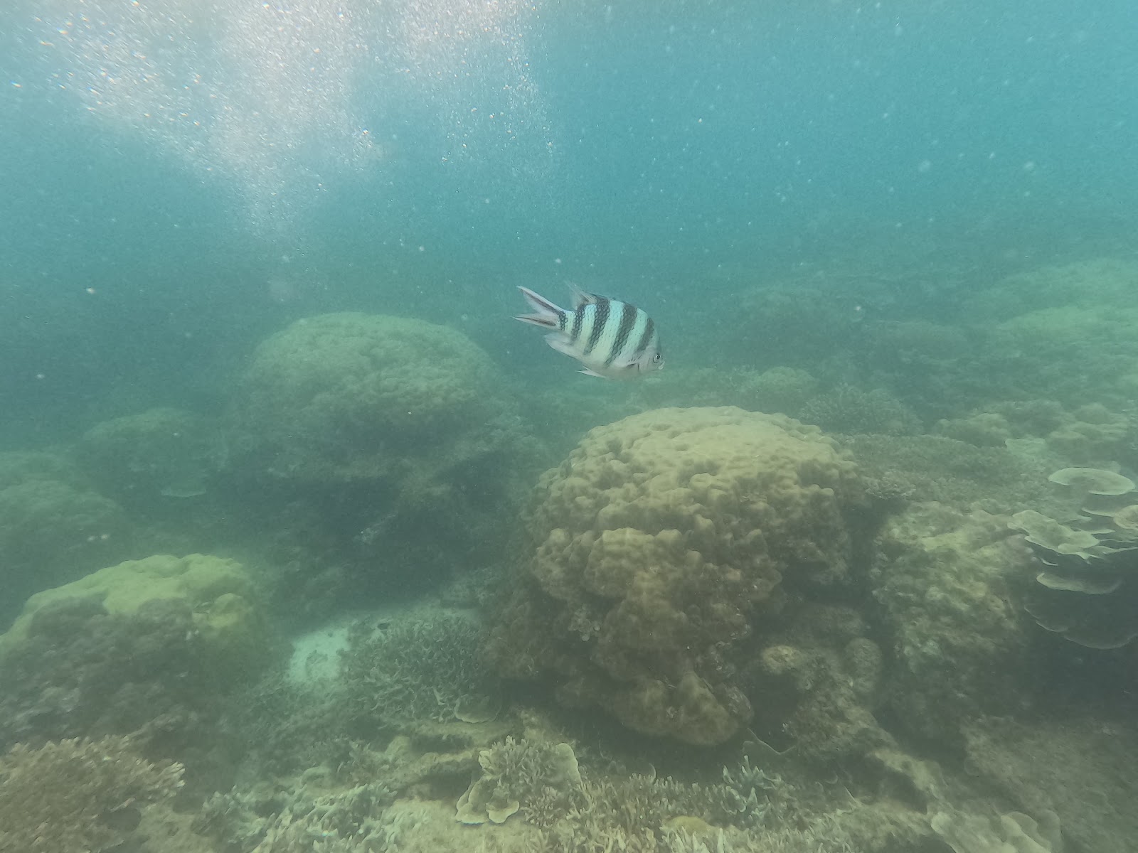 Fantastic Reef (2025) – Best of TikTok, Instagram & Reddit Travel Guide