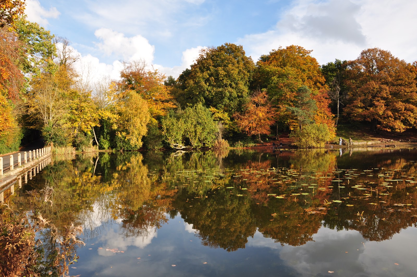 Keston Common and Ponds (2025) – Best of TikTok, Instagram & Reddit ...