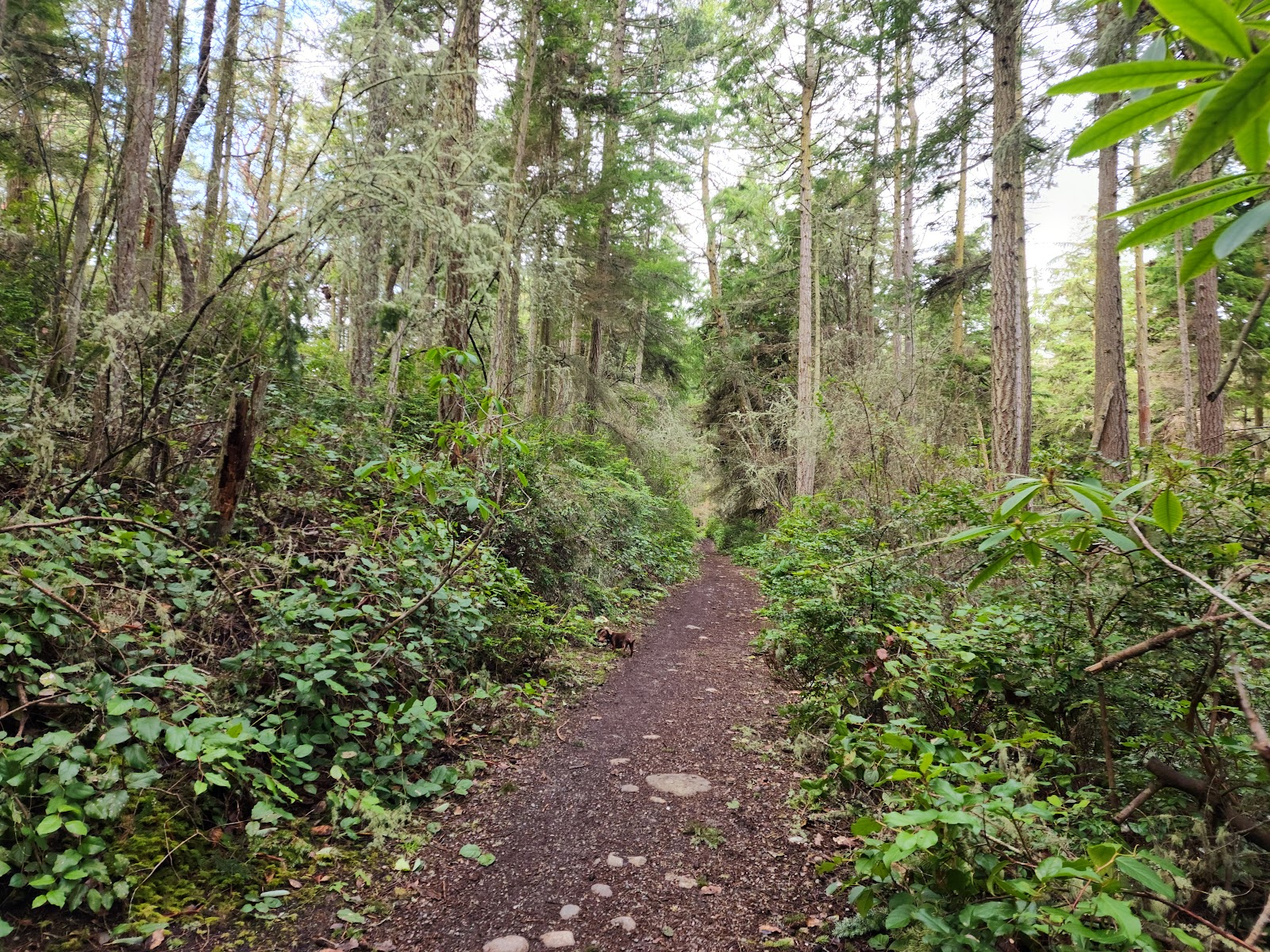 Kettles Trail System (2026) – Best of TikTok, Instagram & Reddit Travel ...
