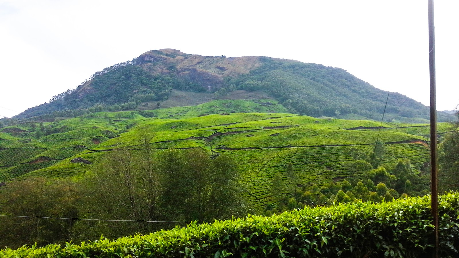 Silent Valley View Point Munnar (2025) – Best of TikTok, Instagram ...