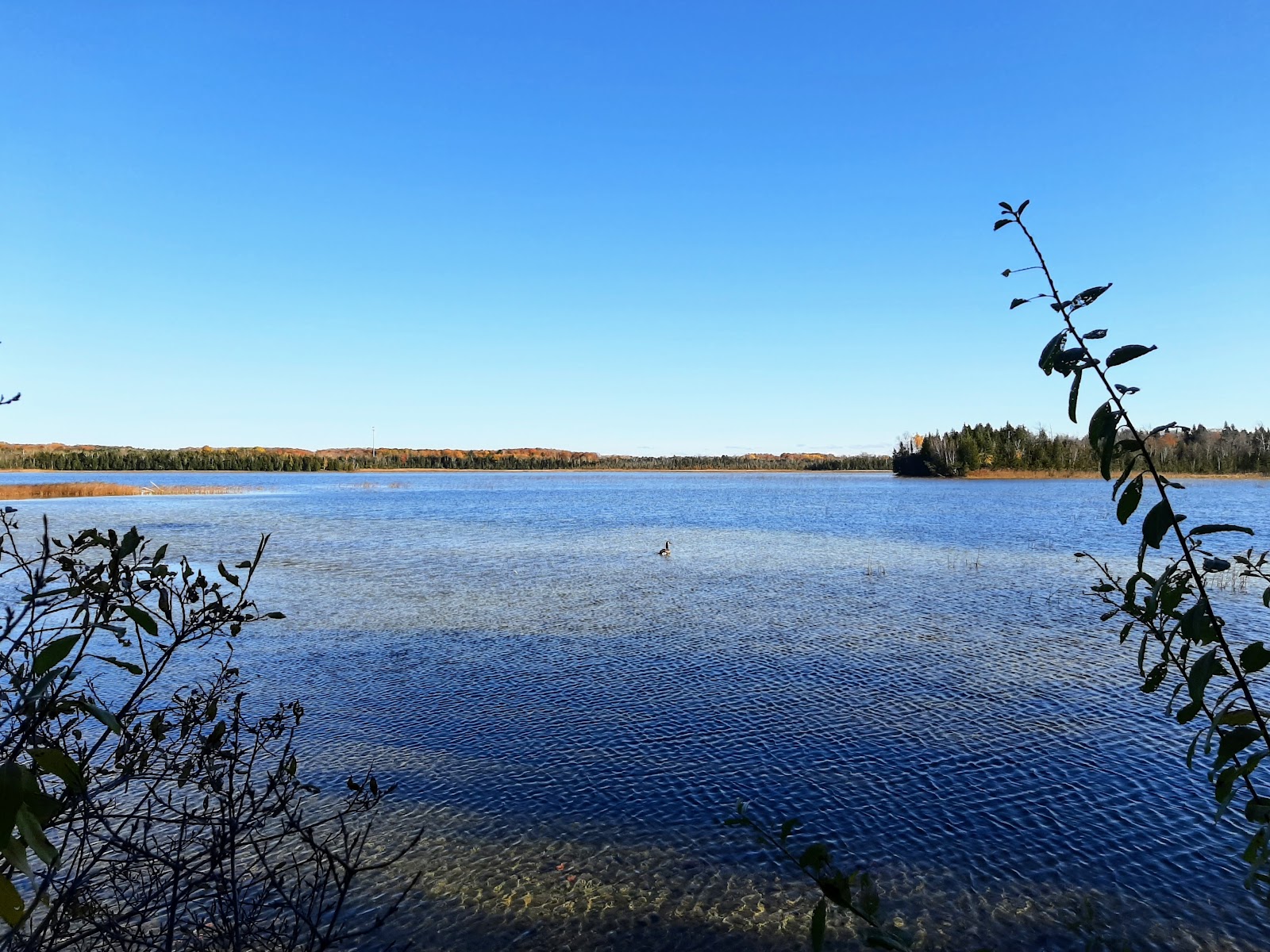 Kangaroo Lake Nature Preserve (2026) – Best of TikTok, Instagram ...
