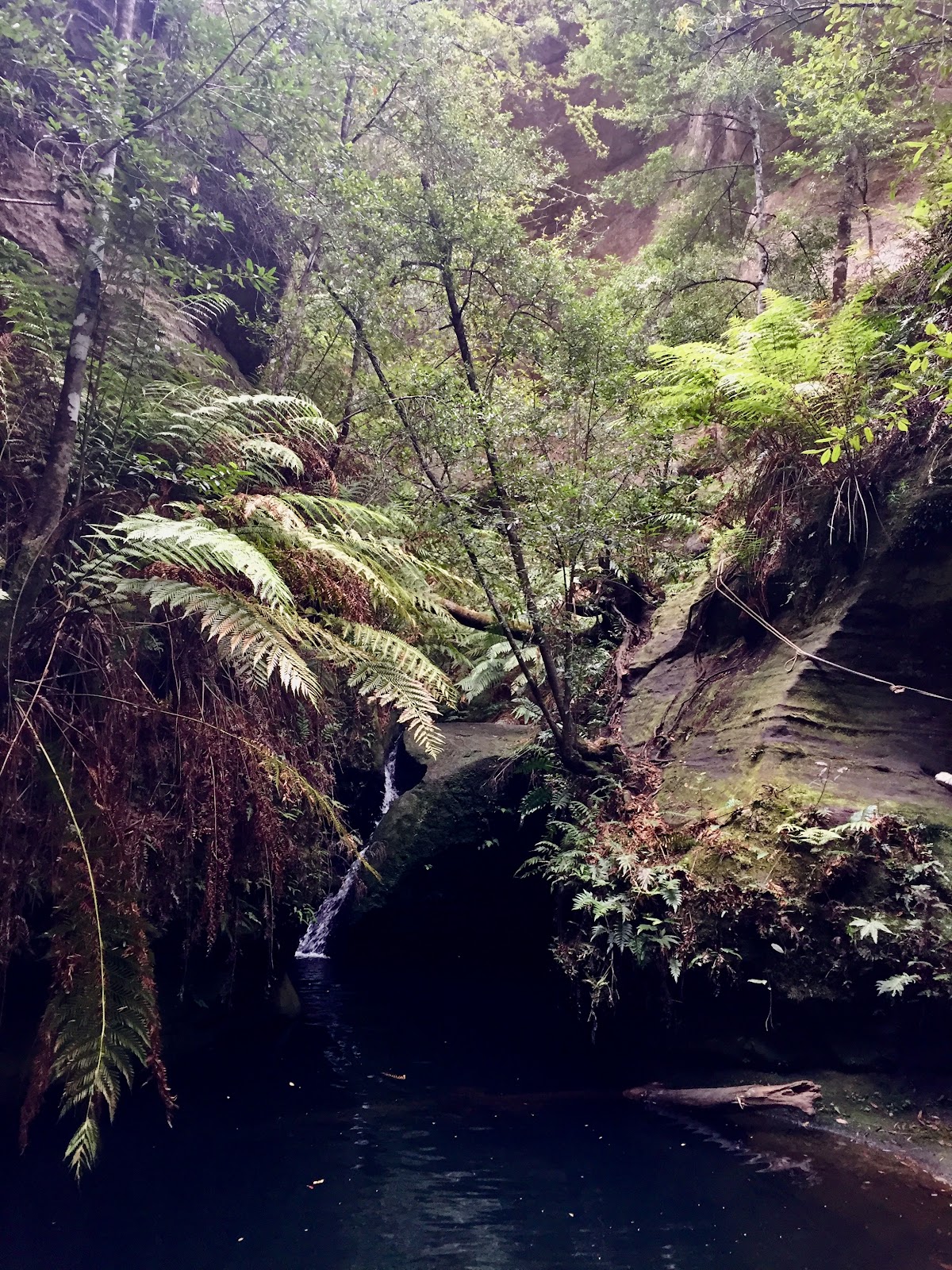 Deep Pass Canyon (2026) – Best of TikTok, Instagram & Reddit Travel Guide