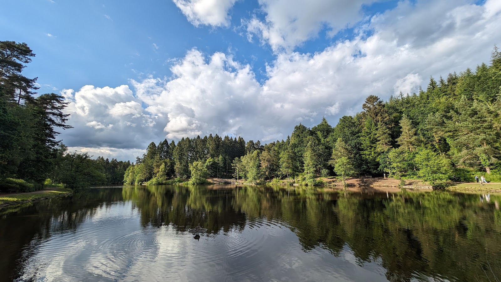 Mallards Pike Lake (2025) – Best of TikTok, Instagram & Reddit Travel Guide