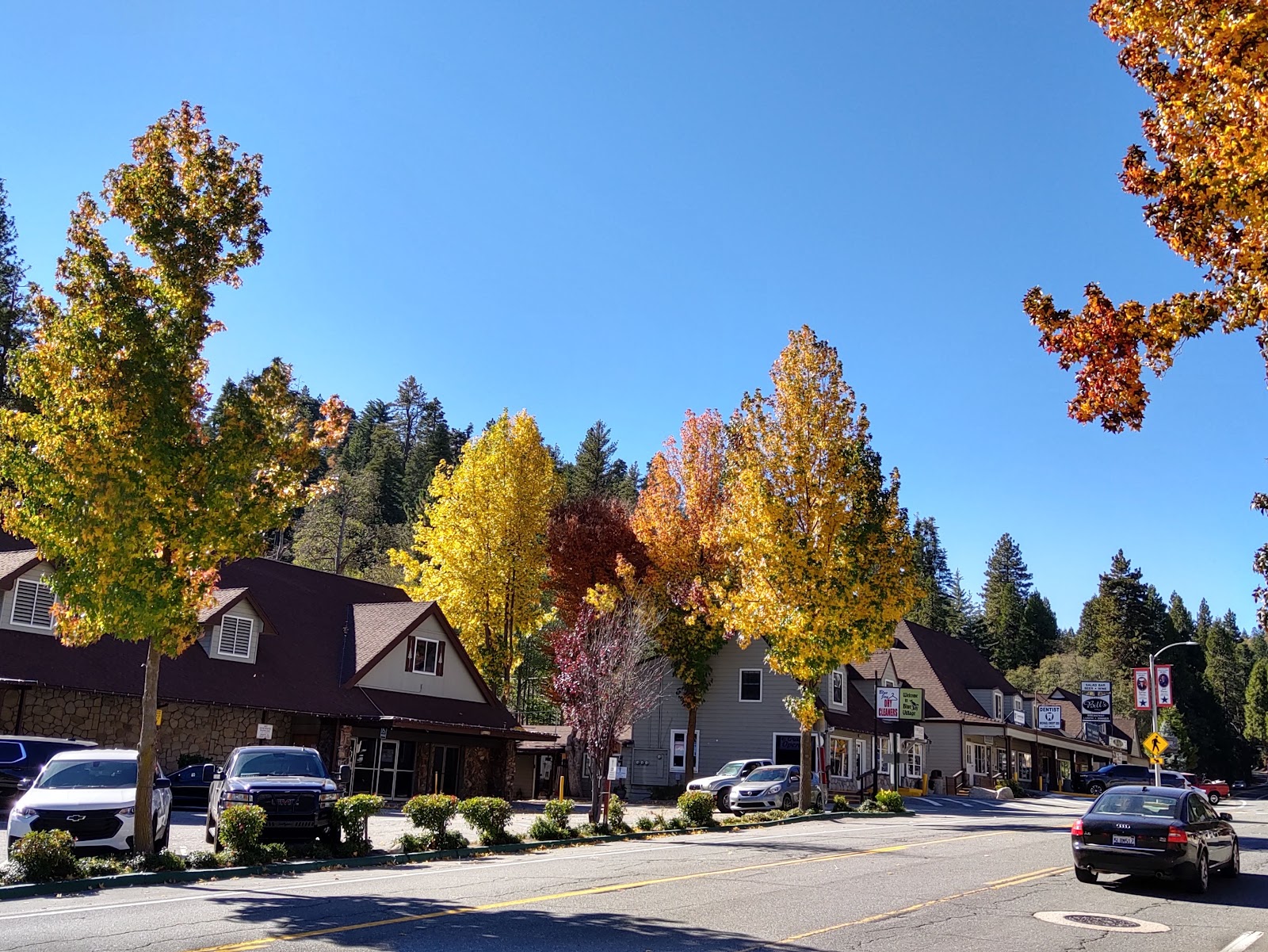 Blue Jay Village Center (2026) – Best of TikTok, Instagram & Reddit ...