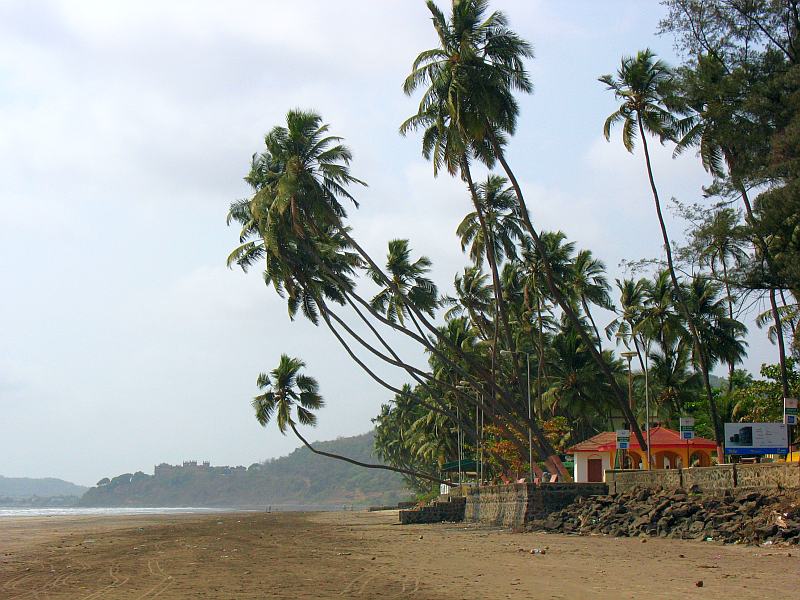Murud Beach Maharashtra (2026) – Best of TikTok, Instagram & Reddit ...