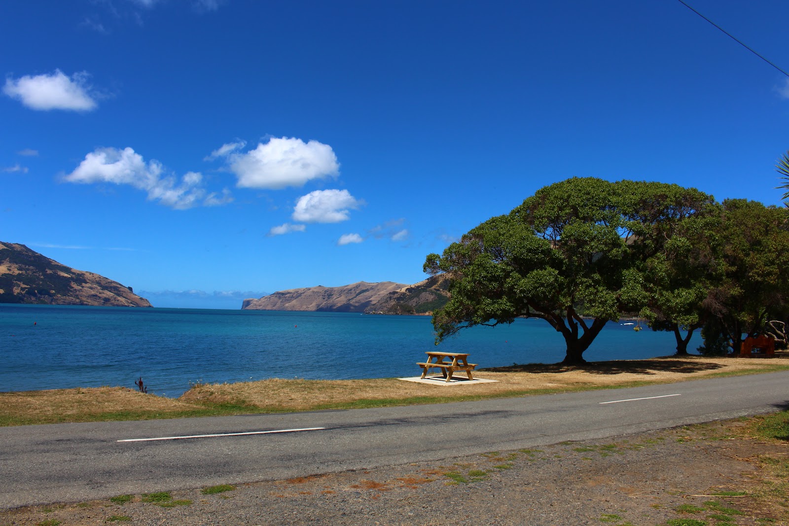 Wainui Bay (2025) – Best of TikTok, Instagram & Reddit Travel Guide