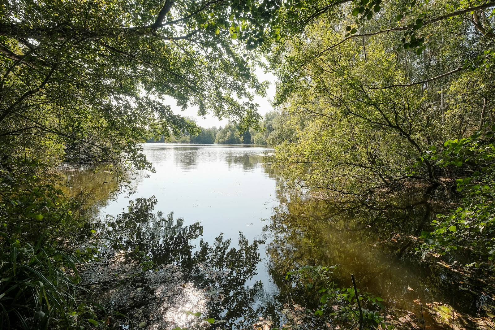 Denham Lock Wood (2025) – Best of TikTok, Instagram & Reddit Travel Guide
