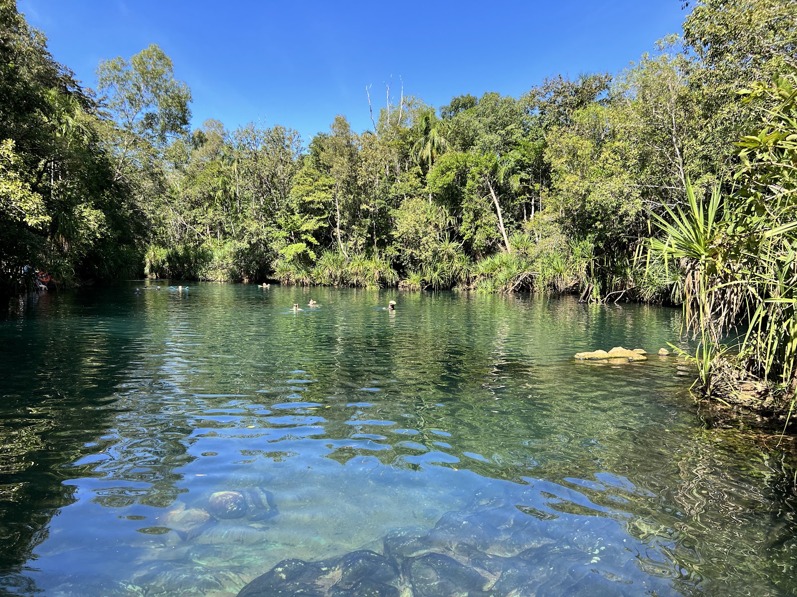 Berry Springs Nature Park (2025) – Best of TikTok, Instagram & Reddit ...