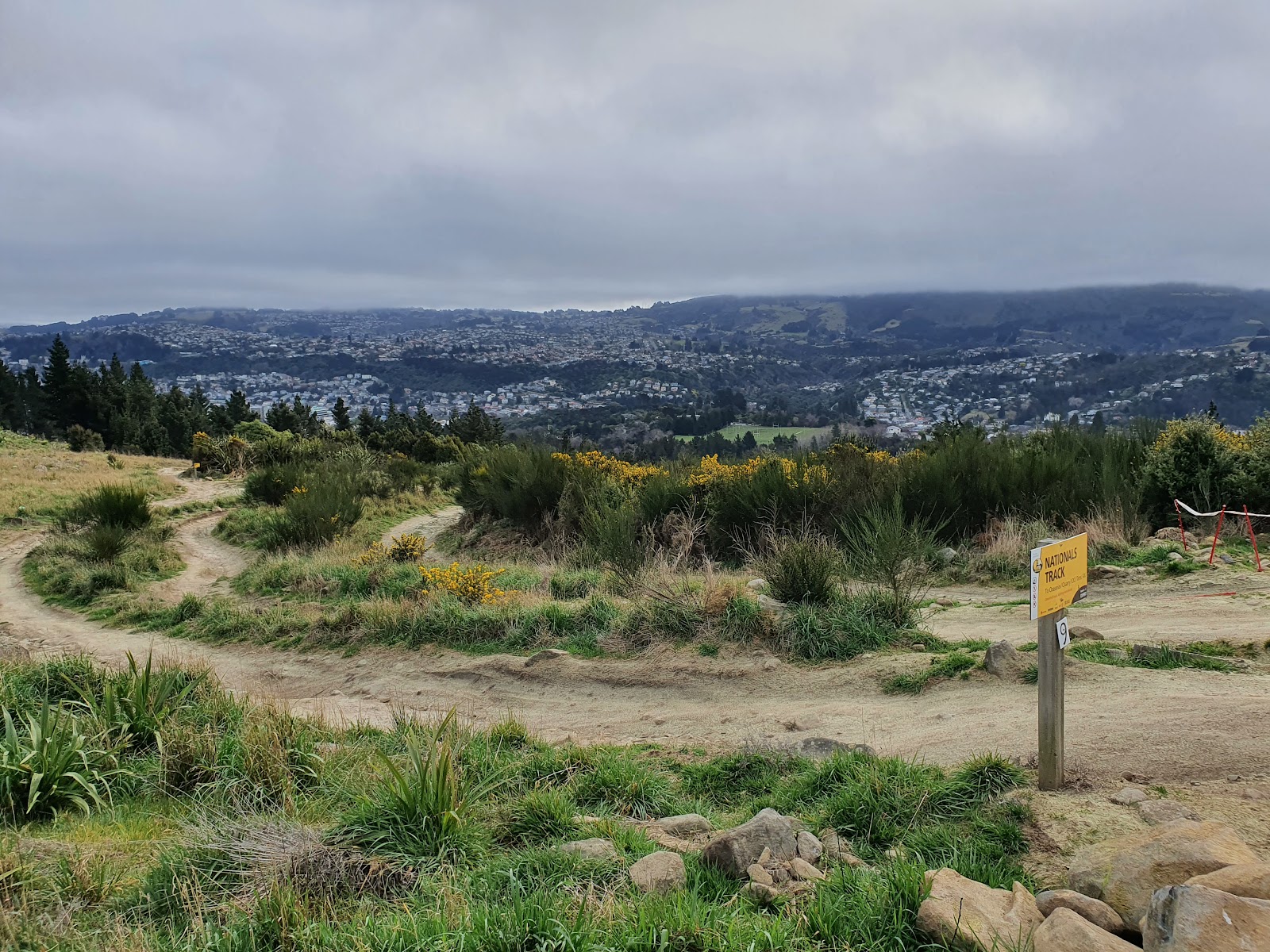 Signal Hill Mountain Bike Park Dunedin (2026) – Best of TikTok ...