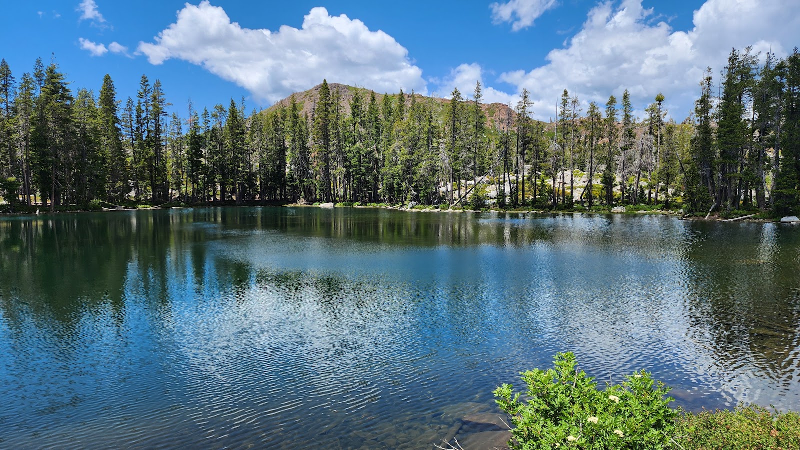Tahoe National Forest Truckee Ranger District (2025) – Best of TikTok ...