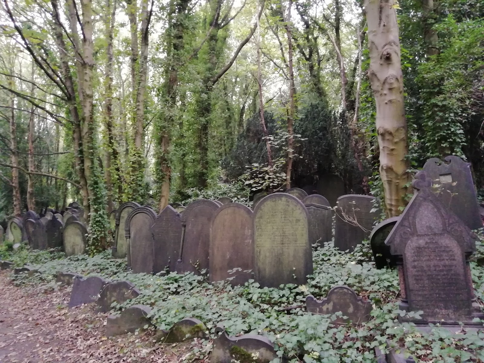 Wardsend Cemetery Sheffield (2026) – Best of TikTok, Instagram & Reddit ...