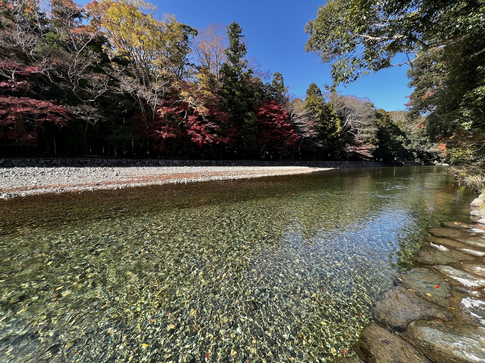 Isuzu River Mitarashi (2026) – Best of TikTok, Instagram & Reddit ...