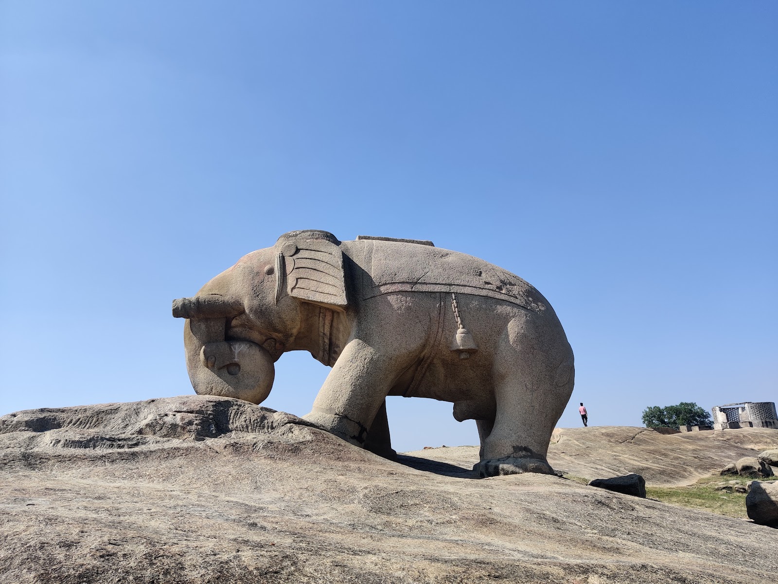 Hathi Bhata (2025) – Best of TikTok, Instagram & Reddit Travel Guide