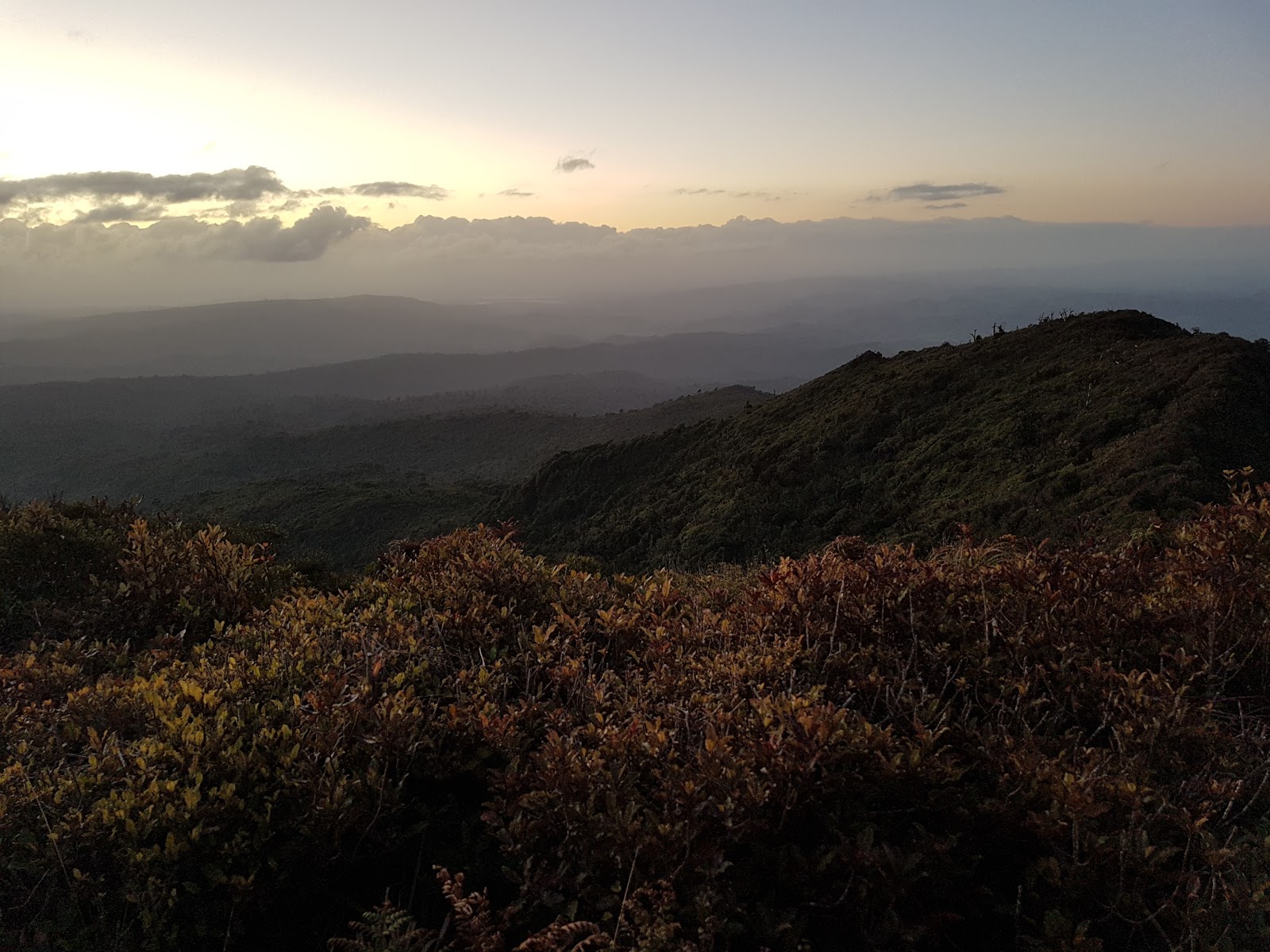 Mount Pirongia (2026) – Best of TikTok, Instagram & Reddit Travel Guide