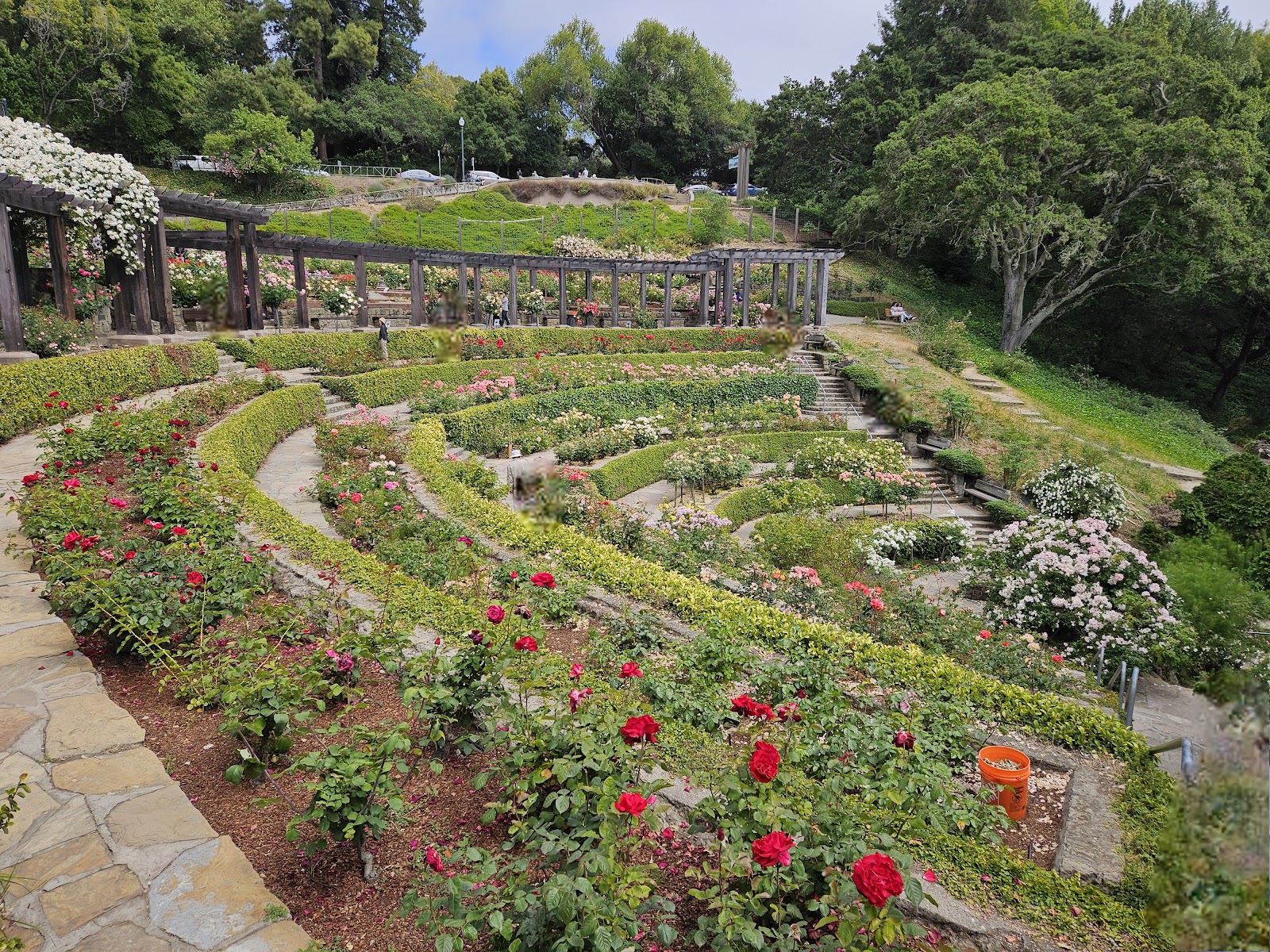 Berkeley Rose Garden (2026) – Best of TikTok, Instagram & Reddit Travel ...