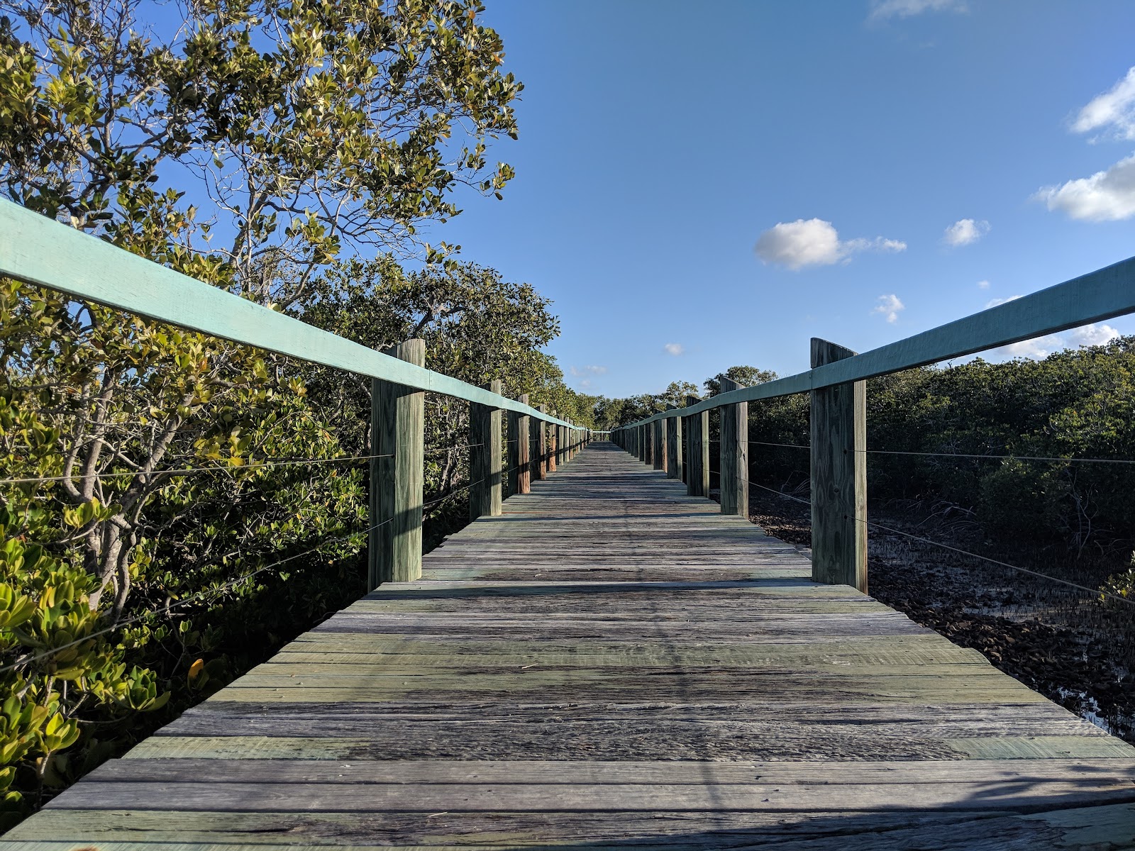 Maroochy River Conservation Park (2026) – Best of TikTok, Instagram ...