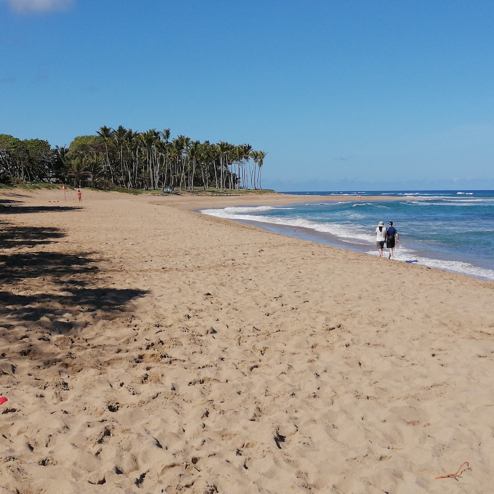 Encuentro Beach Cabarete (2026) – Best of TikTok, Instagram & Reddit ...