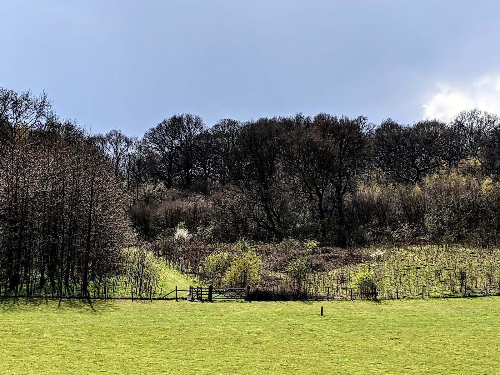 Hucking Estate Woodland Trust (2026) – Best of TikTok, Instagram ...