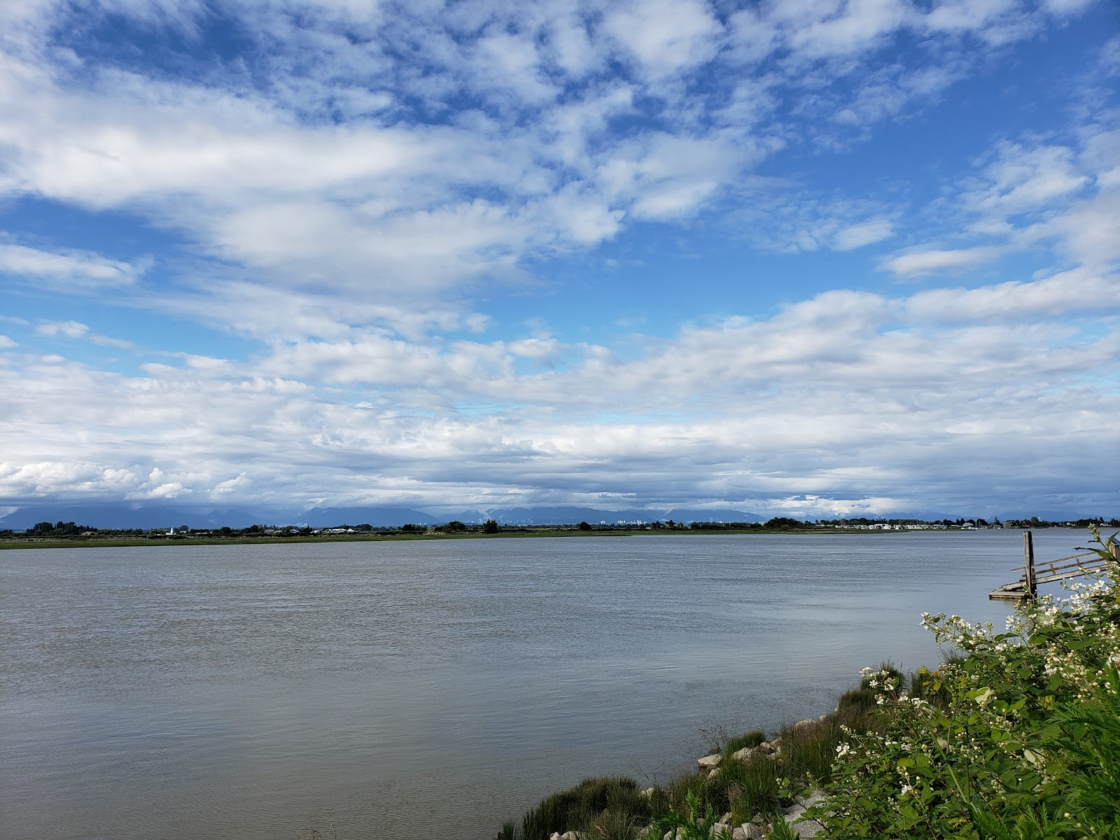 Roberts Bank Wildlife Management Area Causeway (2025) – Best of TikTok ...