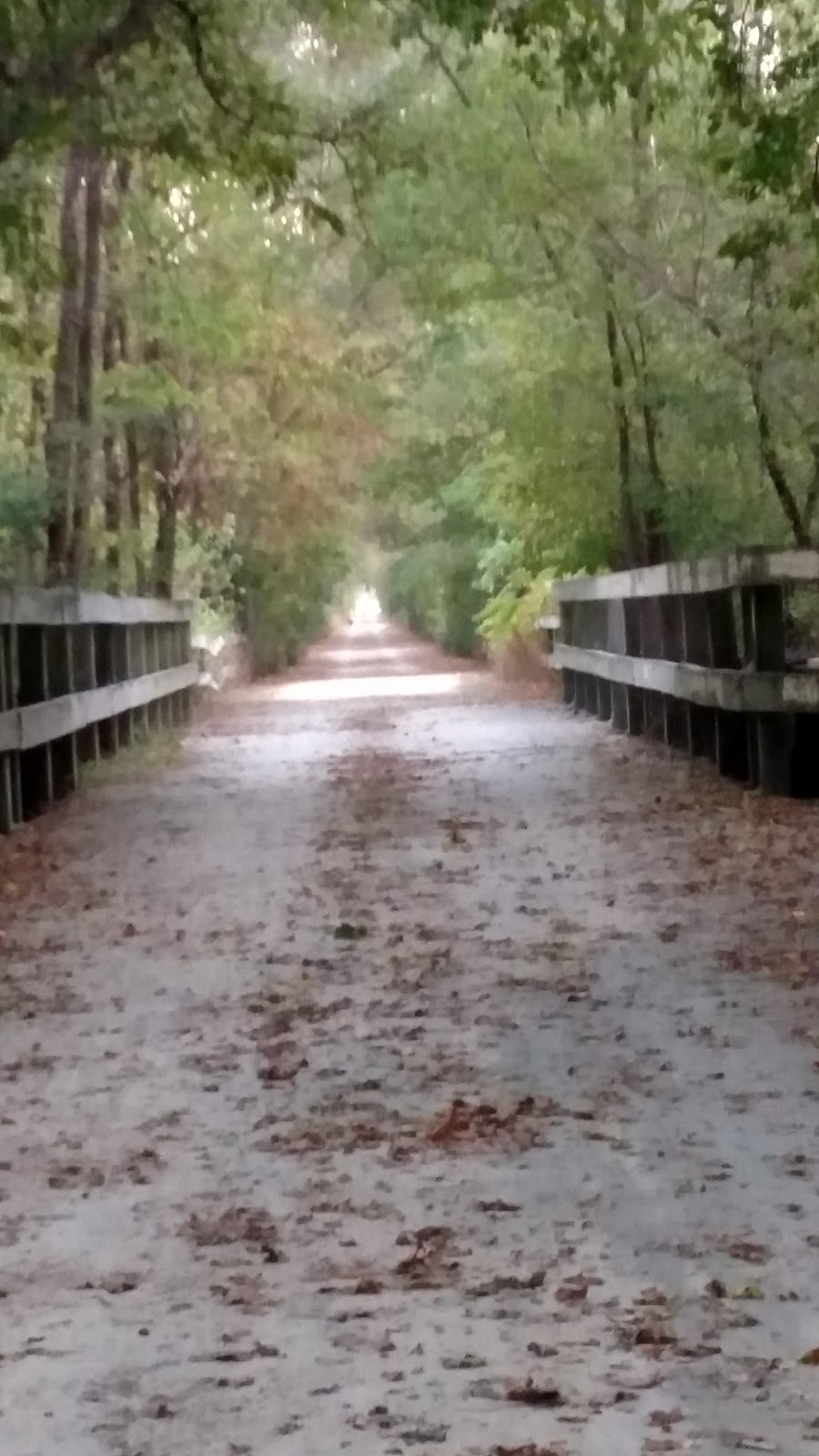 Stone Bridge Trail (2026) – Best of TikTok, Instagram & Reddit Travel Guide