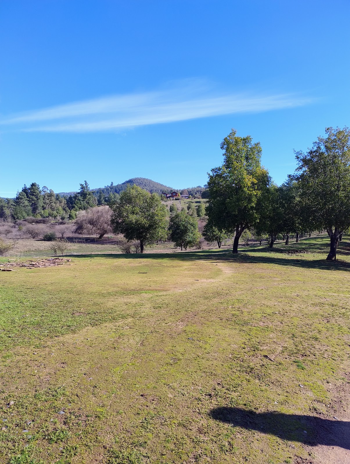 Itata Valley Wine Route (2026) – Best of TikTok, Instagram & Reddit ...