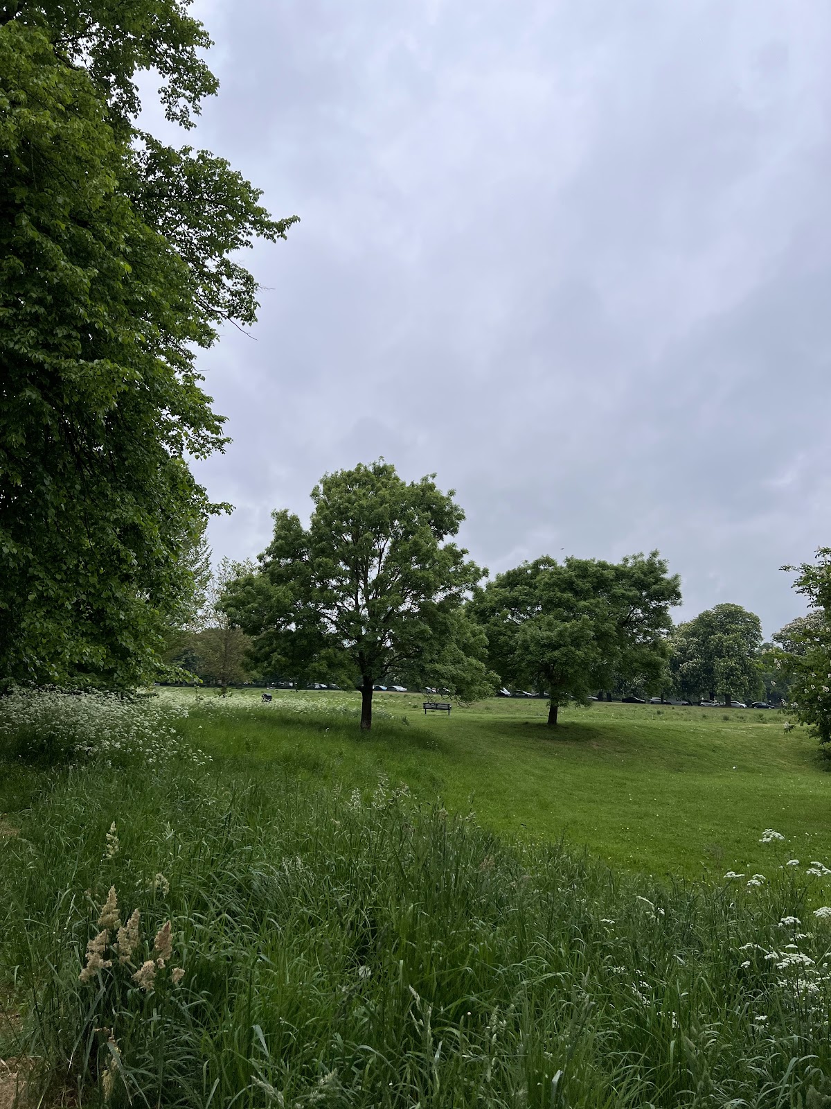 Ealing Common London (2025) – Best of TikTok, Instagram & Reddit Travel ...