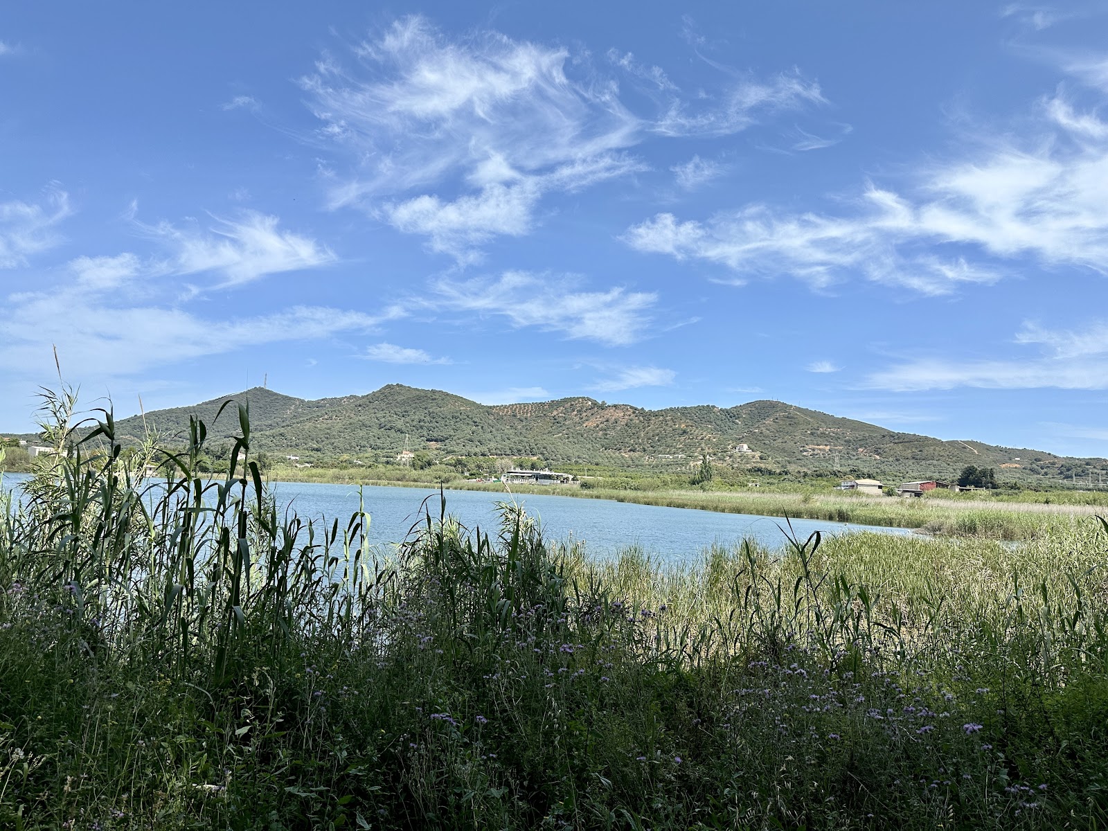Agia Lake Chania (2025) – Best of TikTok, Instagram & Reddit Travel Guide
