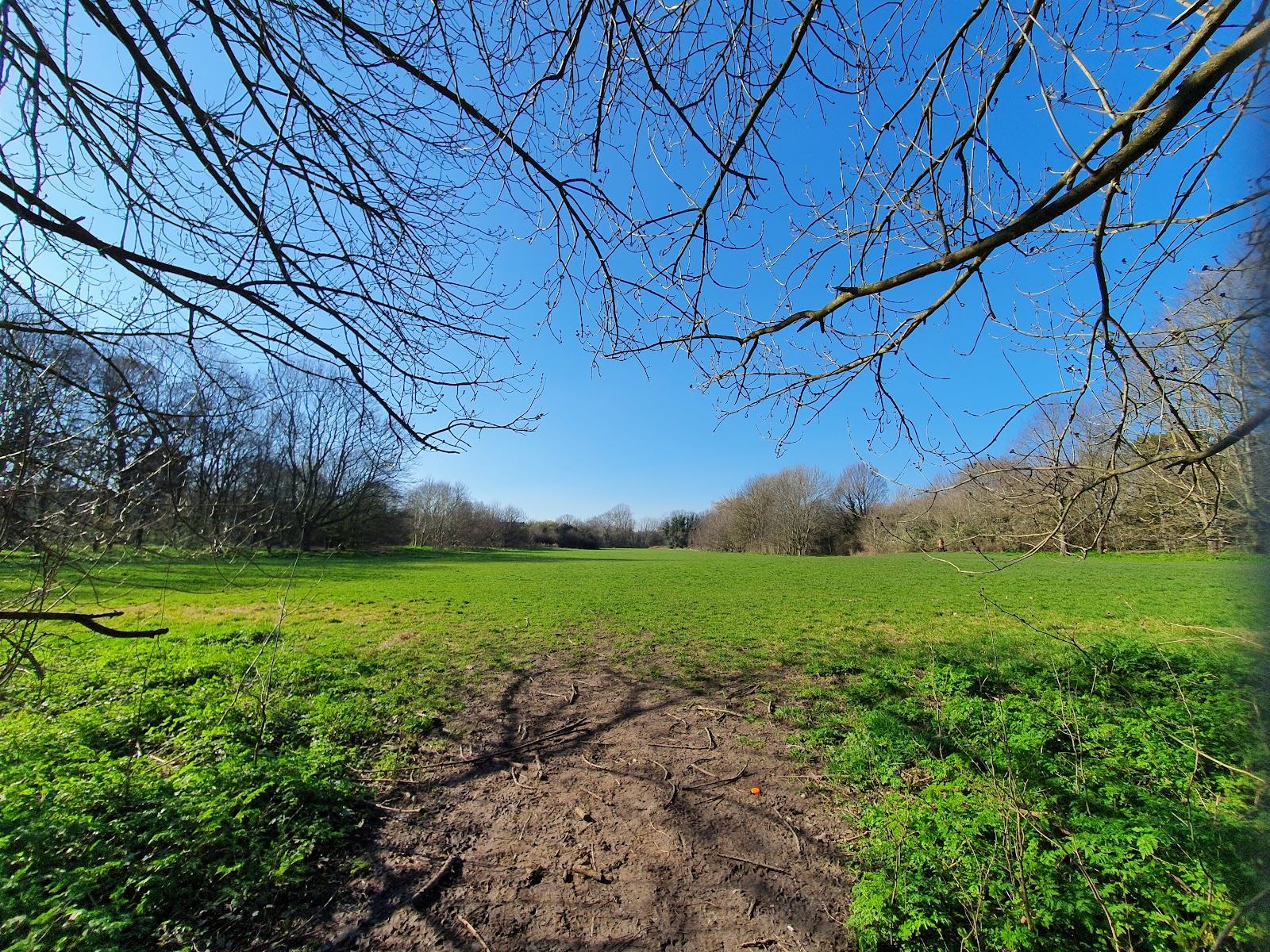 Hogsmill Local Nature Reserve (2026) – Best of TikTok, Instagram ...